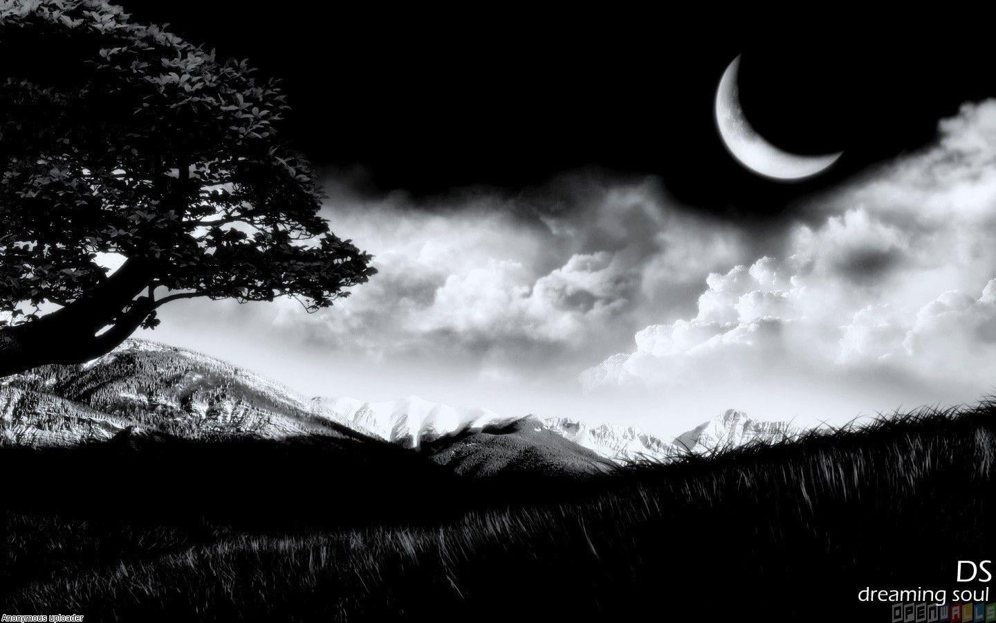 Dark Nature Wallpapers - Top Free Dark Nature Backgrounds - WallpaperAccess