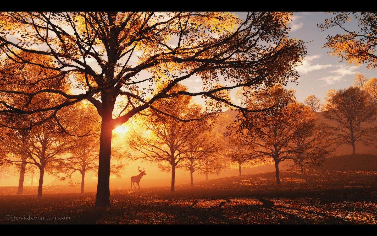 Autumn Deer Wallpapers - Top Free Autumn Deer Backgrounds - WallpaperAccess