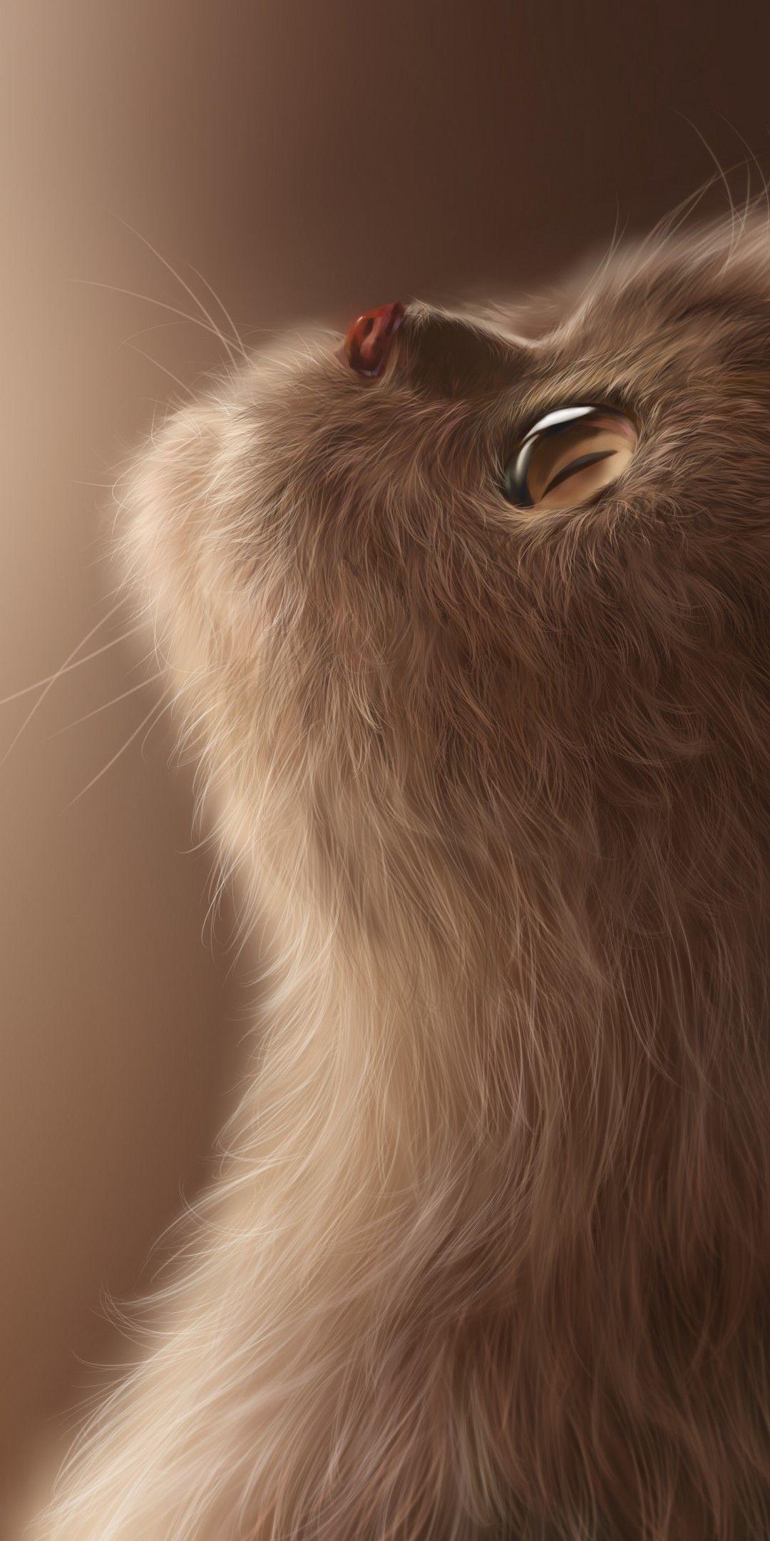 Digital Cat Wallpapers - Top Free Digital Cat Backgrounds - WallpaperAccess