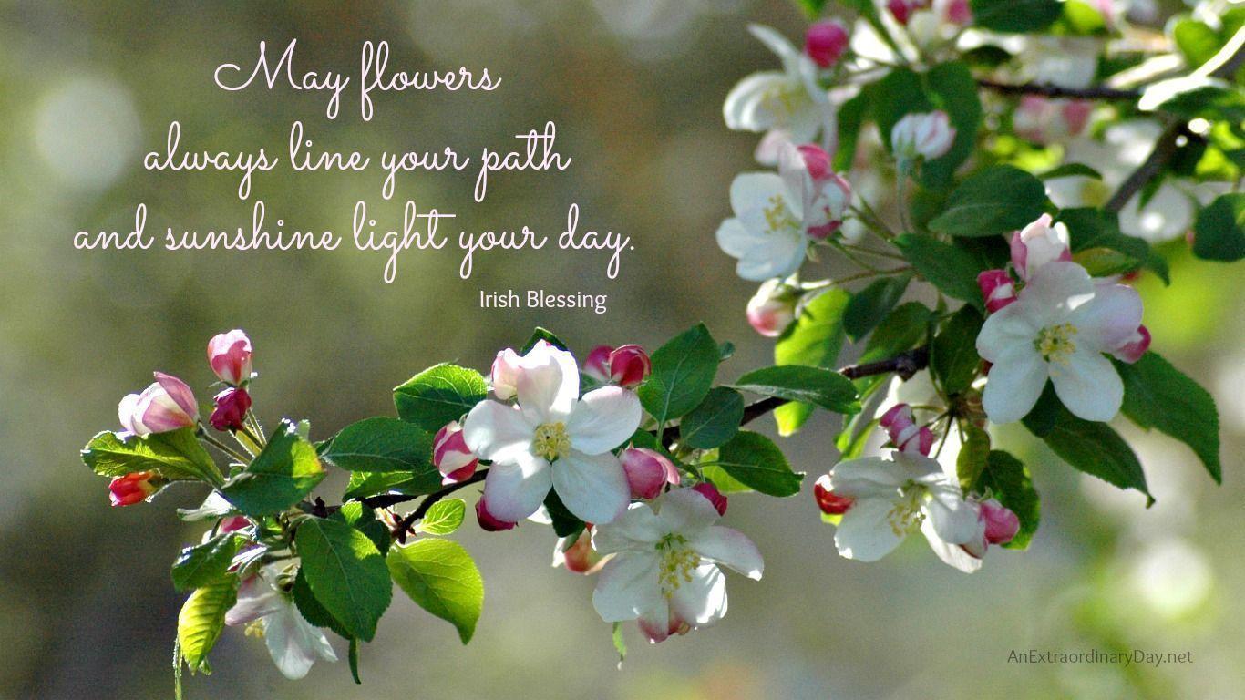 Irish Spring Wallpapers - Top Free Irish Spring Backgrounds ...