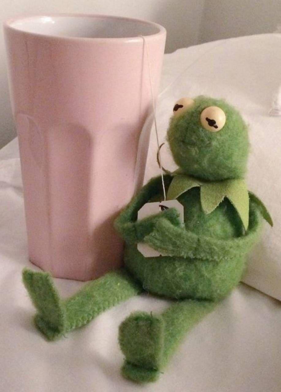 Sad Kermit Wallpapers - Top Free Sad Kermit Backgrounds - WallpaperAccess