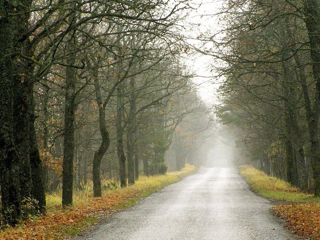 March Nature Wallpapers - Top Free March Nature Backgrounds ...