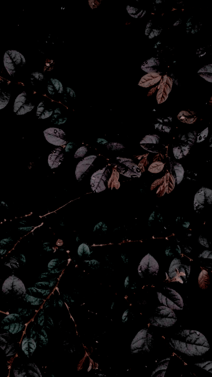 Cute Evil Wallpapers - Top Free Cute Evil Backgrounds - WallpaperAccess