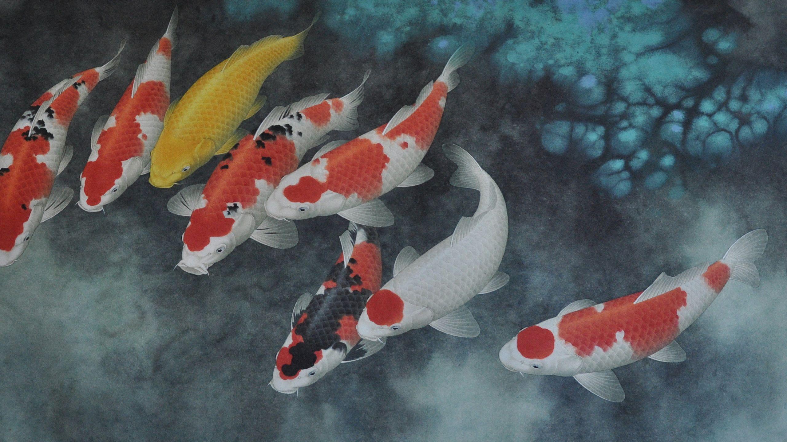 Koi Art Wallpapers - Top Free Koi Art Backgrounds - WallpaperAccess