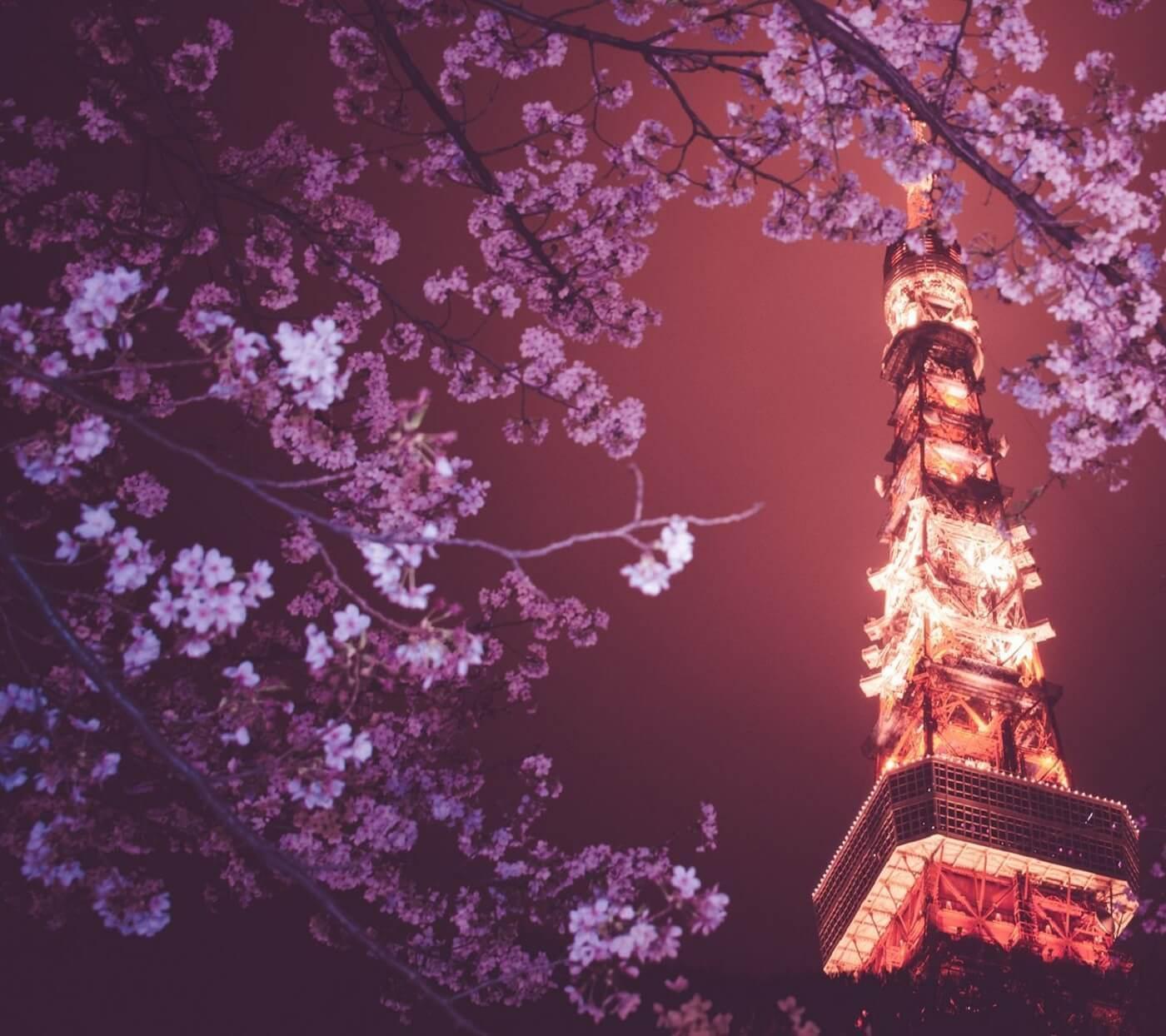 Tokyo Purple Wallpapers - Top Free Tokyo Purple Backgrounds ...