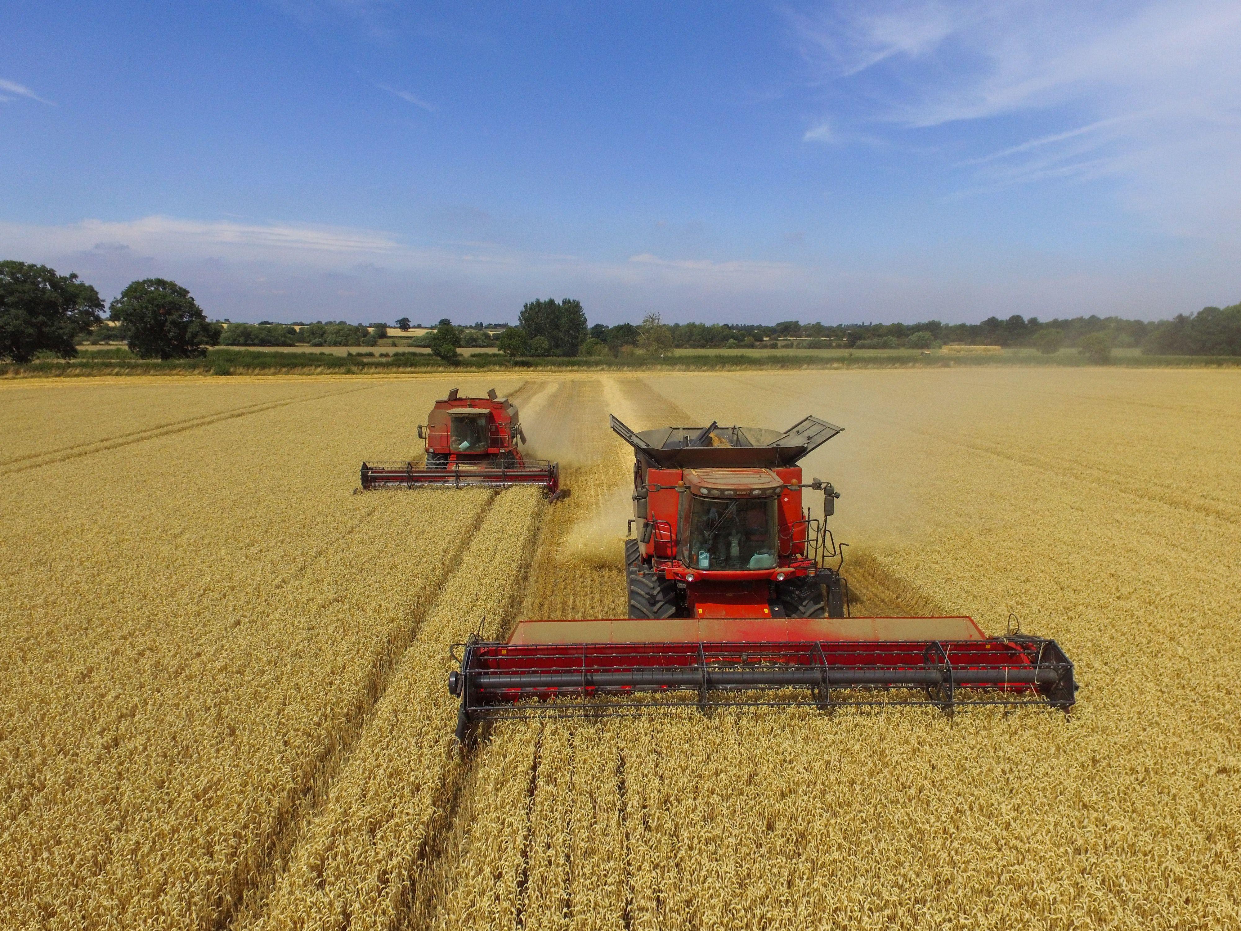 Wheat Harvest Wallpapers - Top Free Wheat Harvest Backgrounds ...