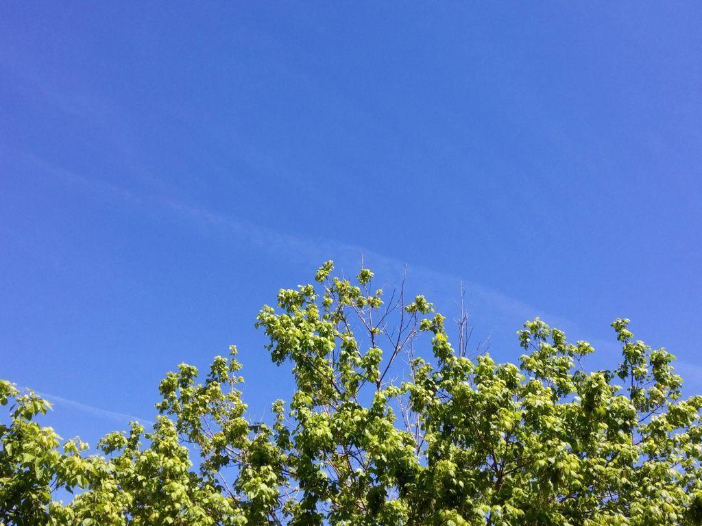 Simple Sky Wallpapers - Top Free Simple Sky Backgrounds - WallpaperAccess