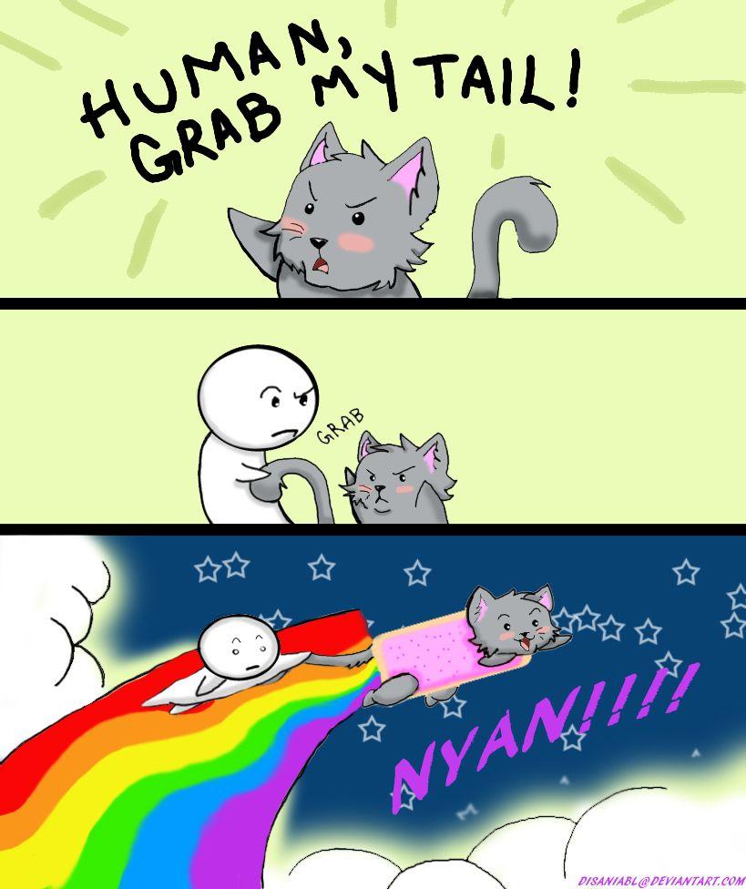 Epic Nyan Cat Wallpapers - Top Free Epic Nyan Cat Backgrounds ...