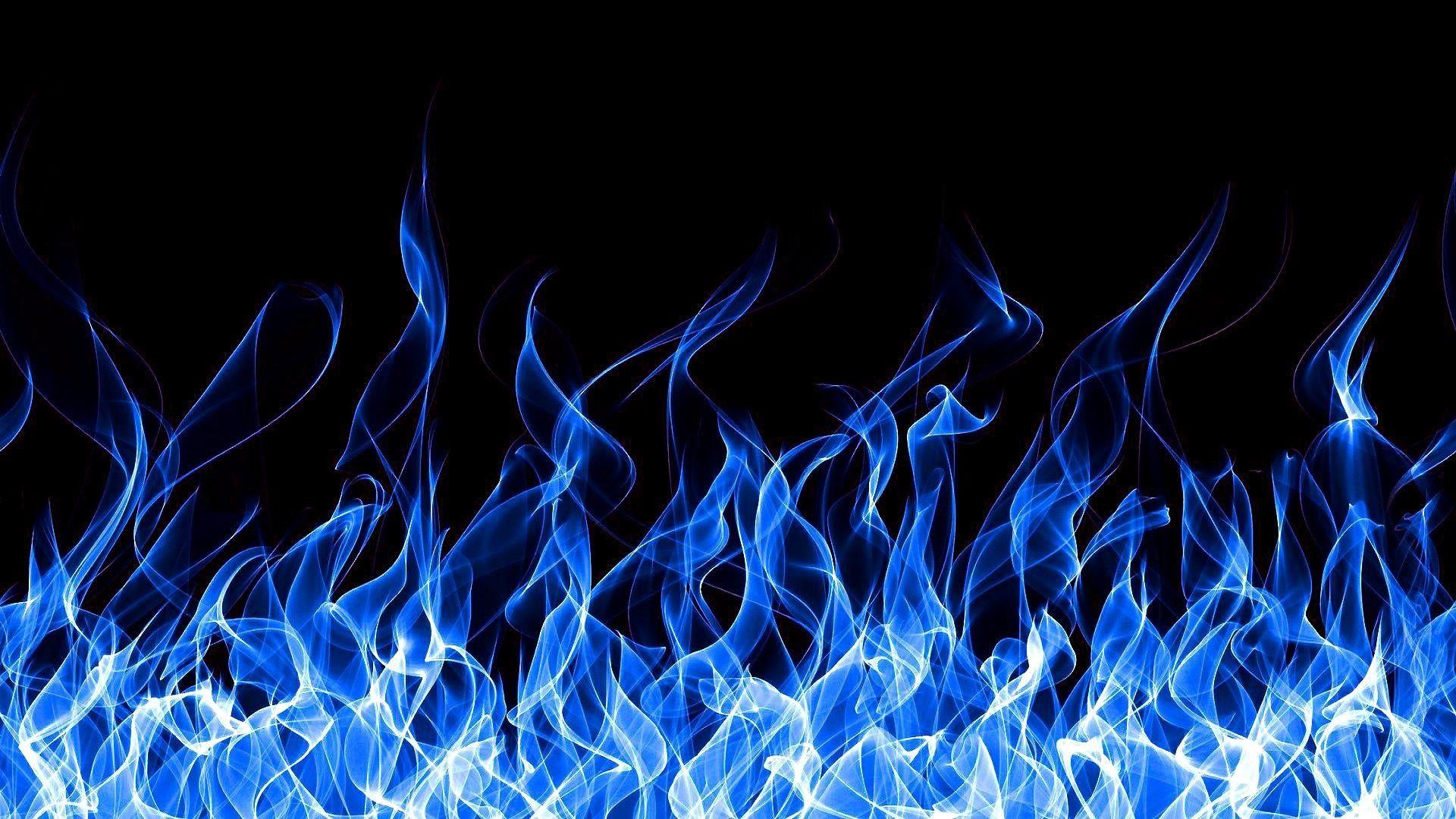 Fire Animal Wallpapers - Top Free Fire Animal Backgrounds - WallpaperAccess