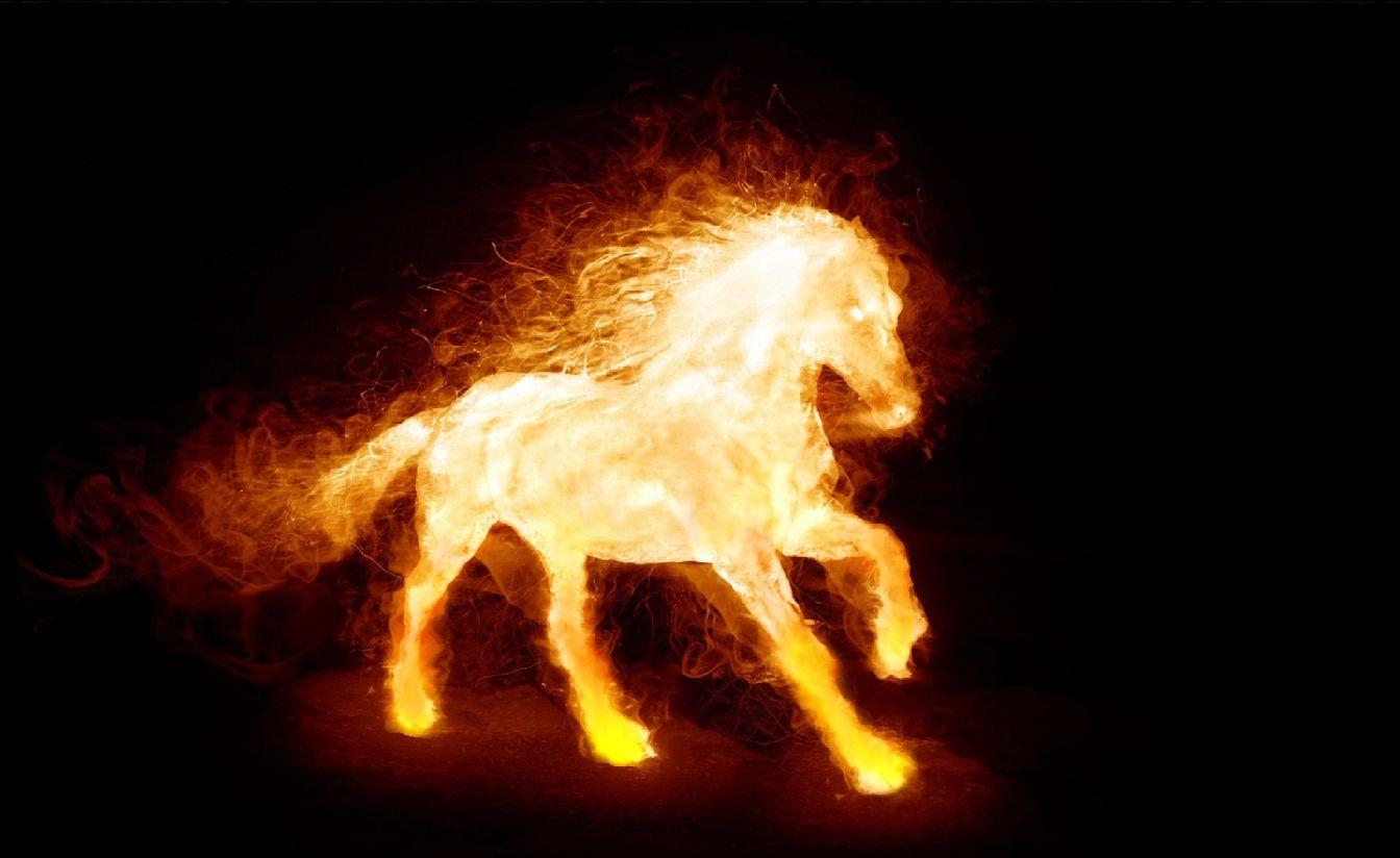 Fire Animal Wallpapers - Top Free Fire Animal Backgrounds - WallpaperAccess
