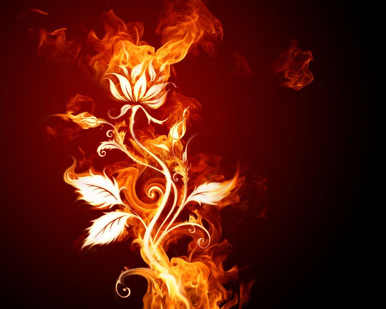 Beautiful Fire Wallpapers - Top Free Beautiful Fire Backgrounds ...