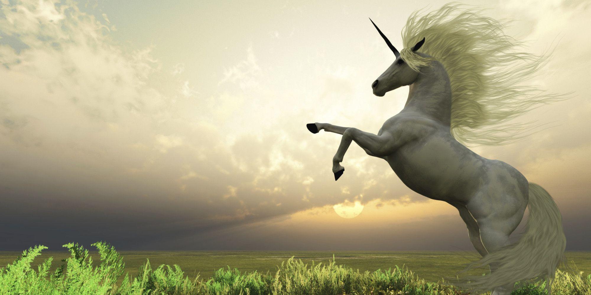 4k Unicorn Wallpapers - Top Free 4k Unicorn Backgrounds - WallpaperAccess