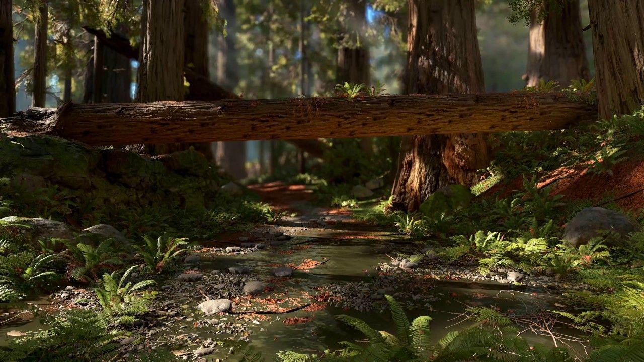 Endor Wallpapers - Top Free Endor Backgrounds - WallpaperAccess