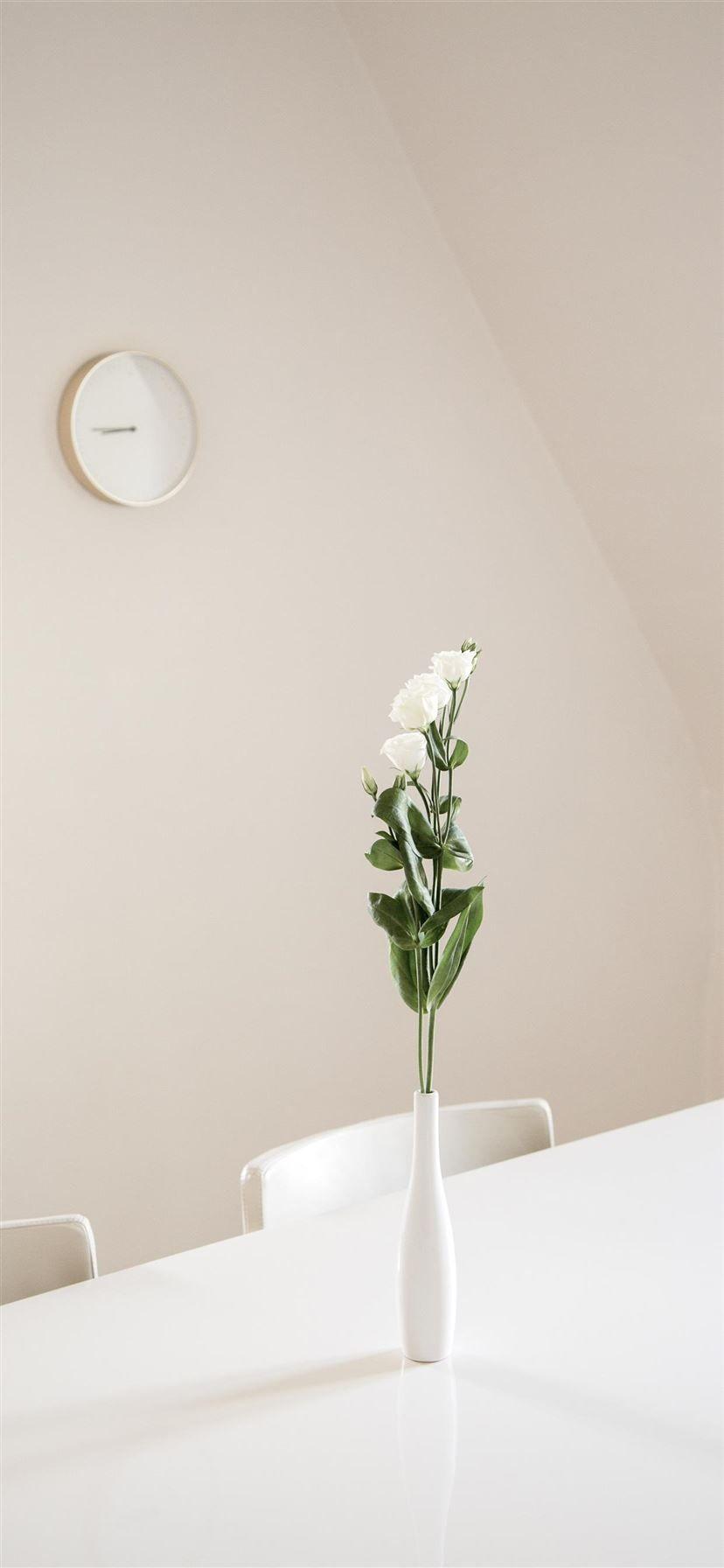 White Table Wallpapers - Top Free White Table Backgrounds - WallpaperAccess