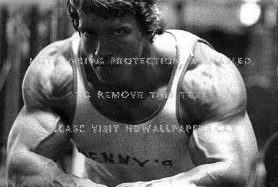 Mr Olympia Wallpapers - Top Free Mr Olympia Backgrounds - WallpaperAccess