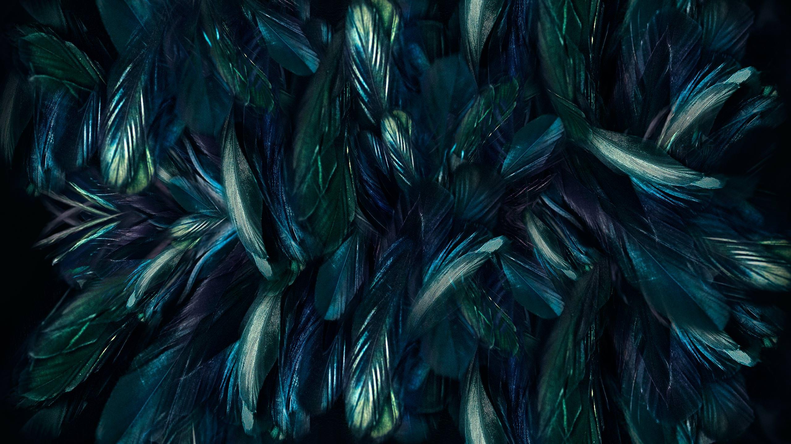 Lightroom Wallpapers - Top Free Lightroom Backgrounds - WallpaperAccess