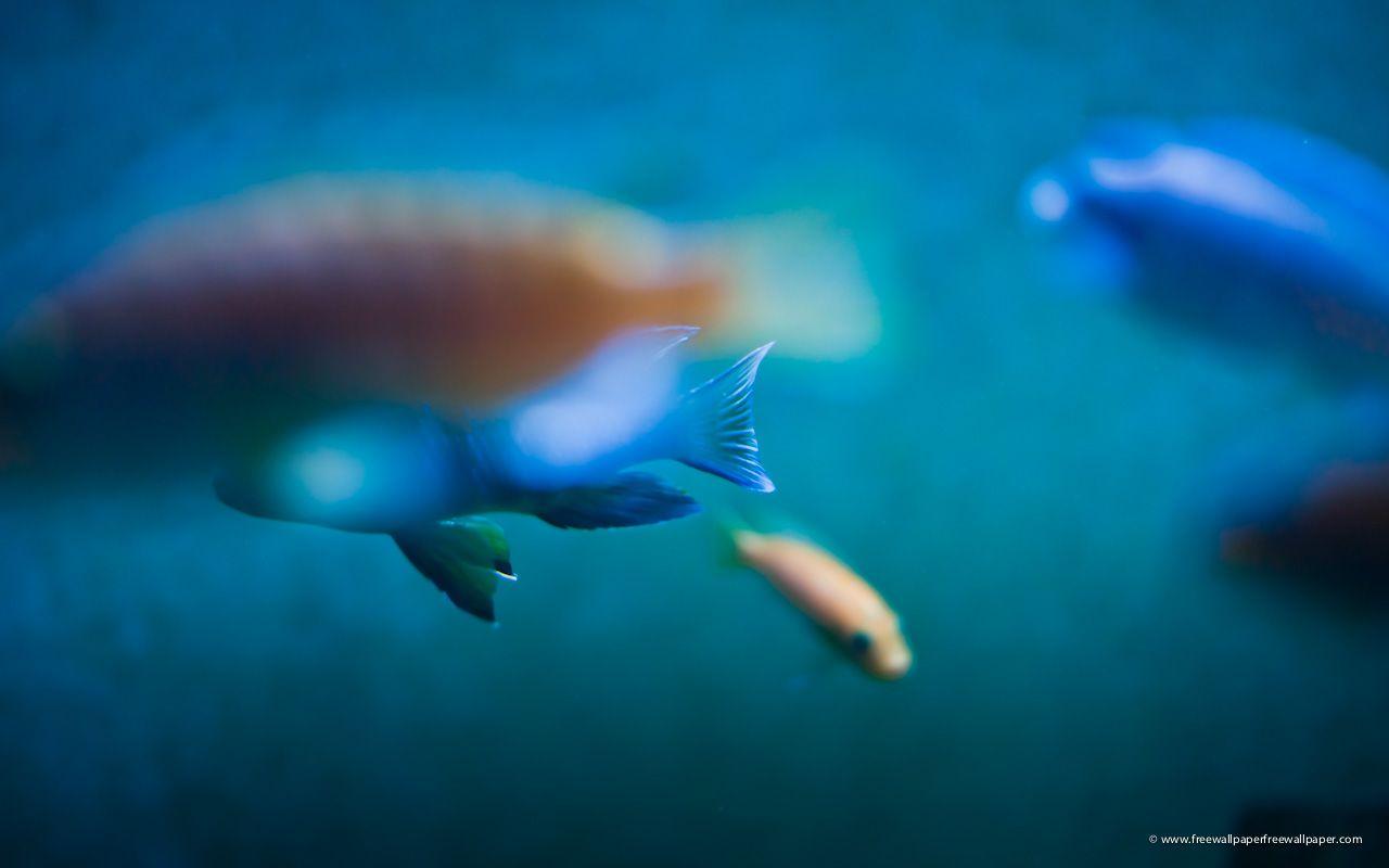 Lightroom Wallpapers - Top Free Lightroom Backgrounds - WallpaperAccess