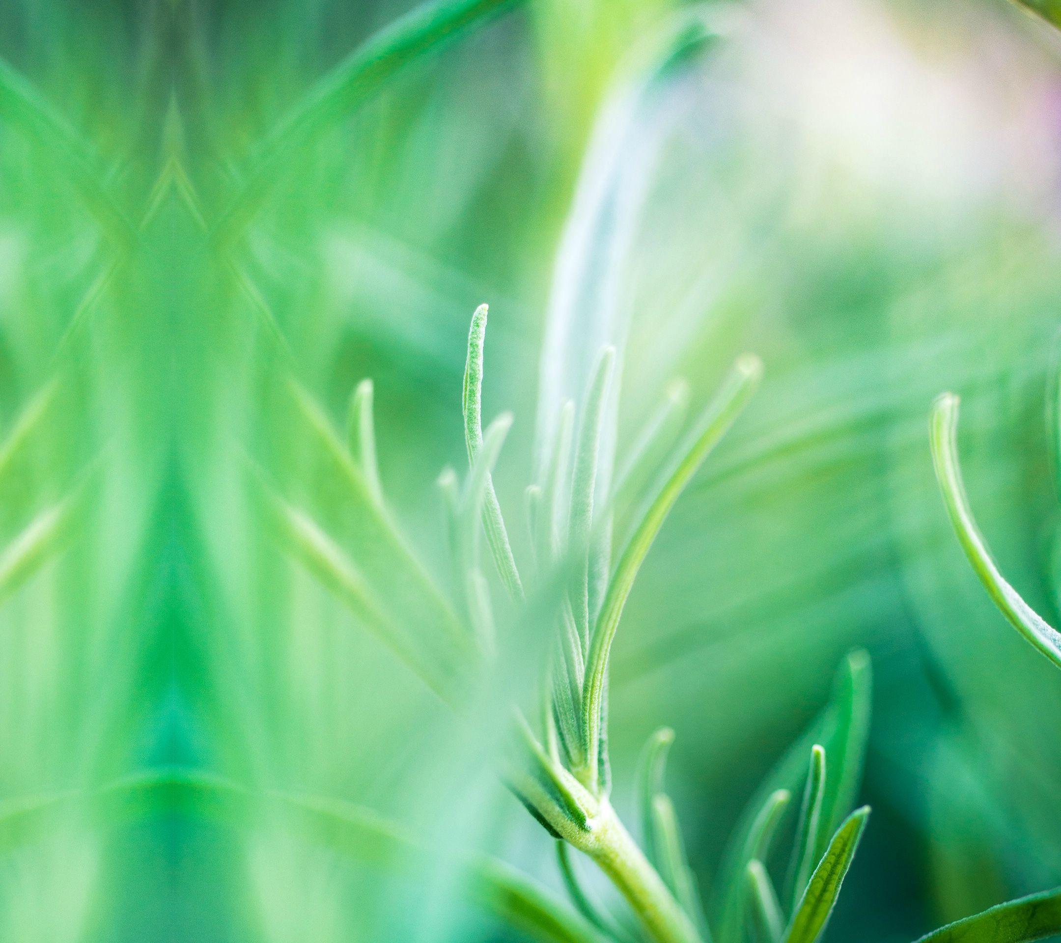 Lightroom Wallpapers - Top Free Lightroom Backgrounds - WallpaperAccess