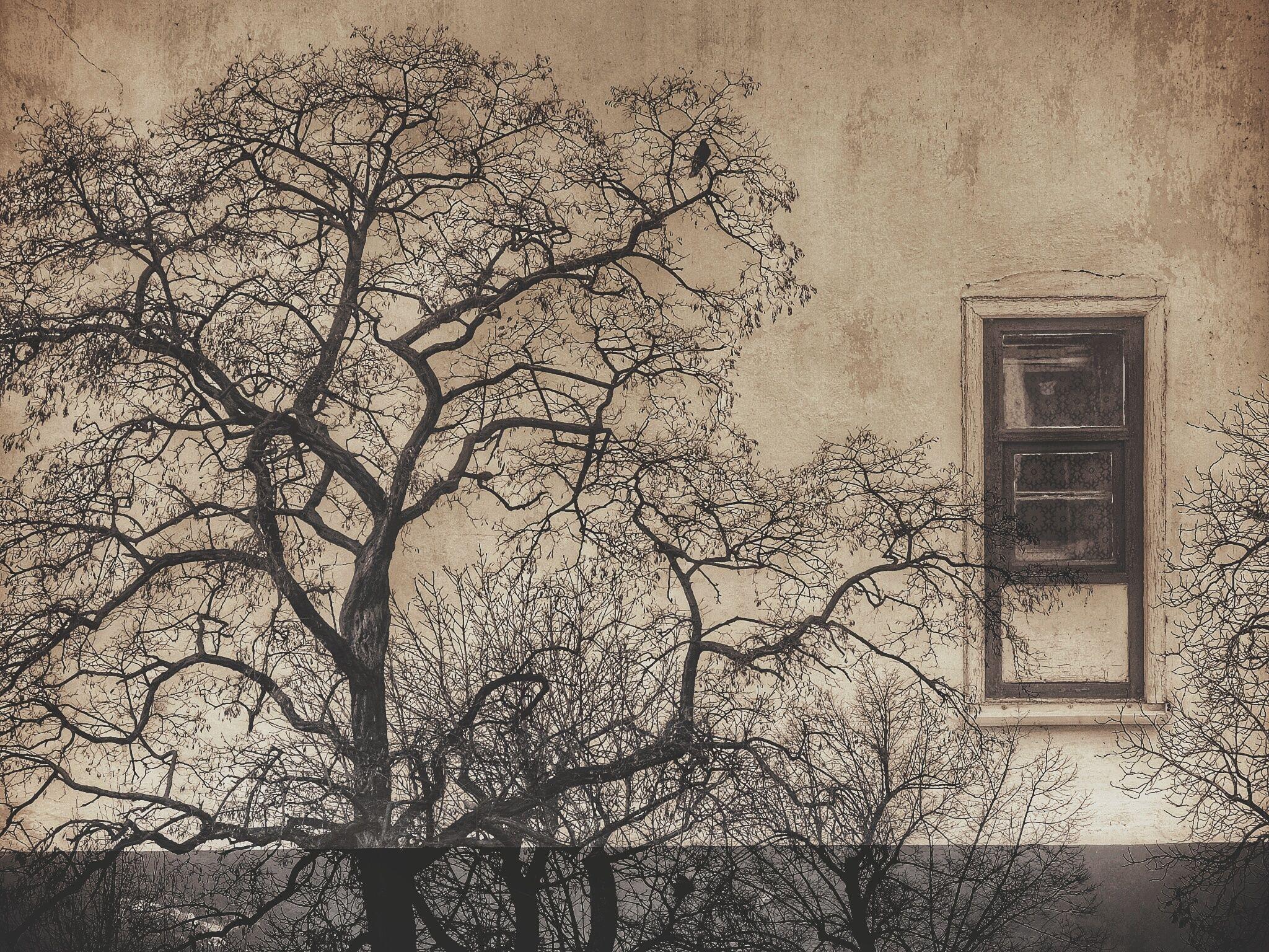 Double Exposure Wallpapers - Top Free Double Exposure Backgrounds ...