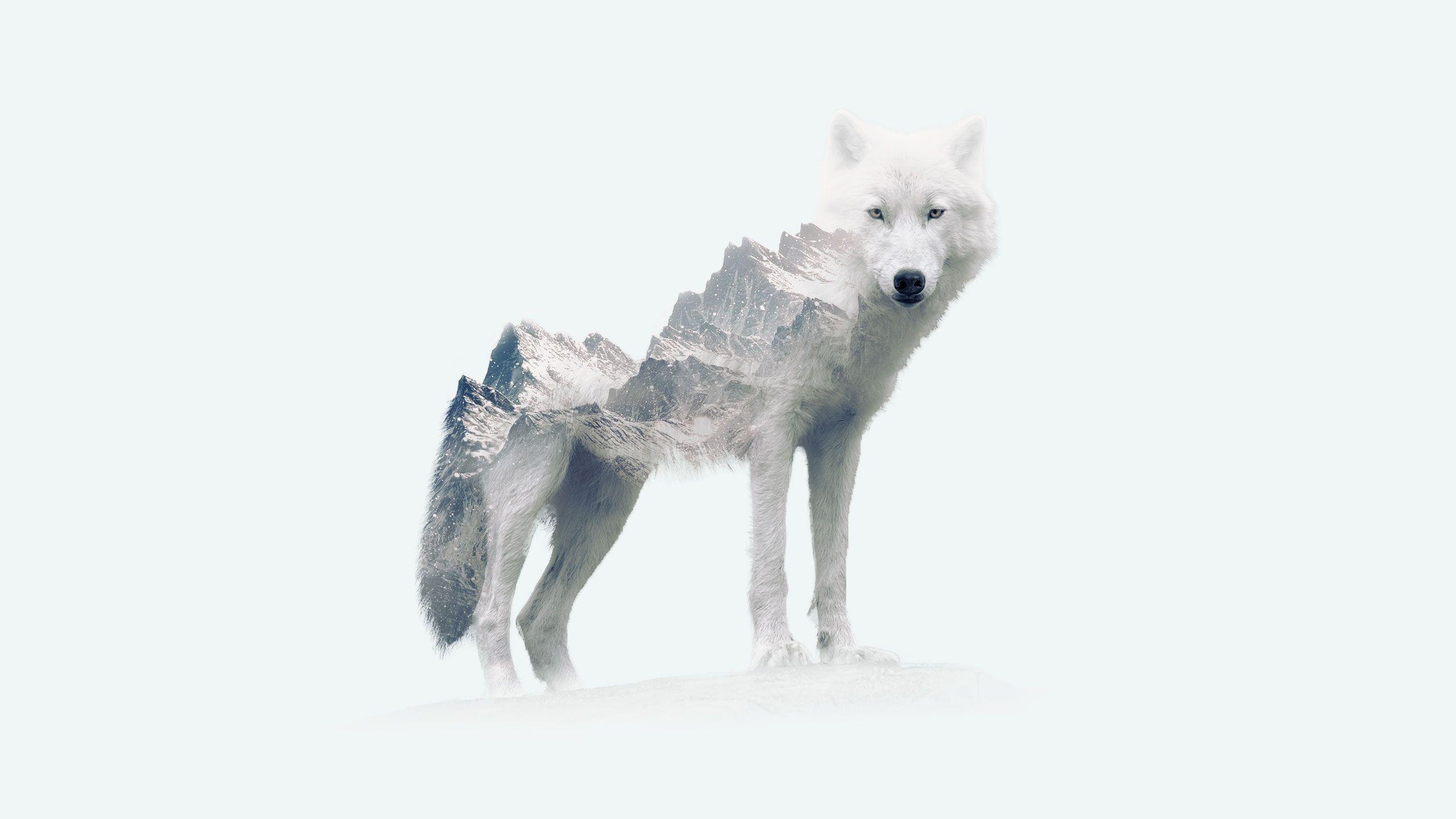Double Exposure Wallpapers - Top Free Double Exposure Backgrounds ...