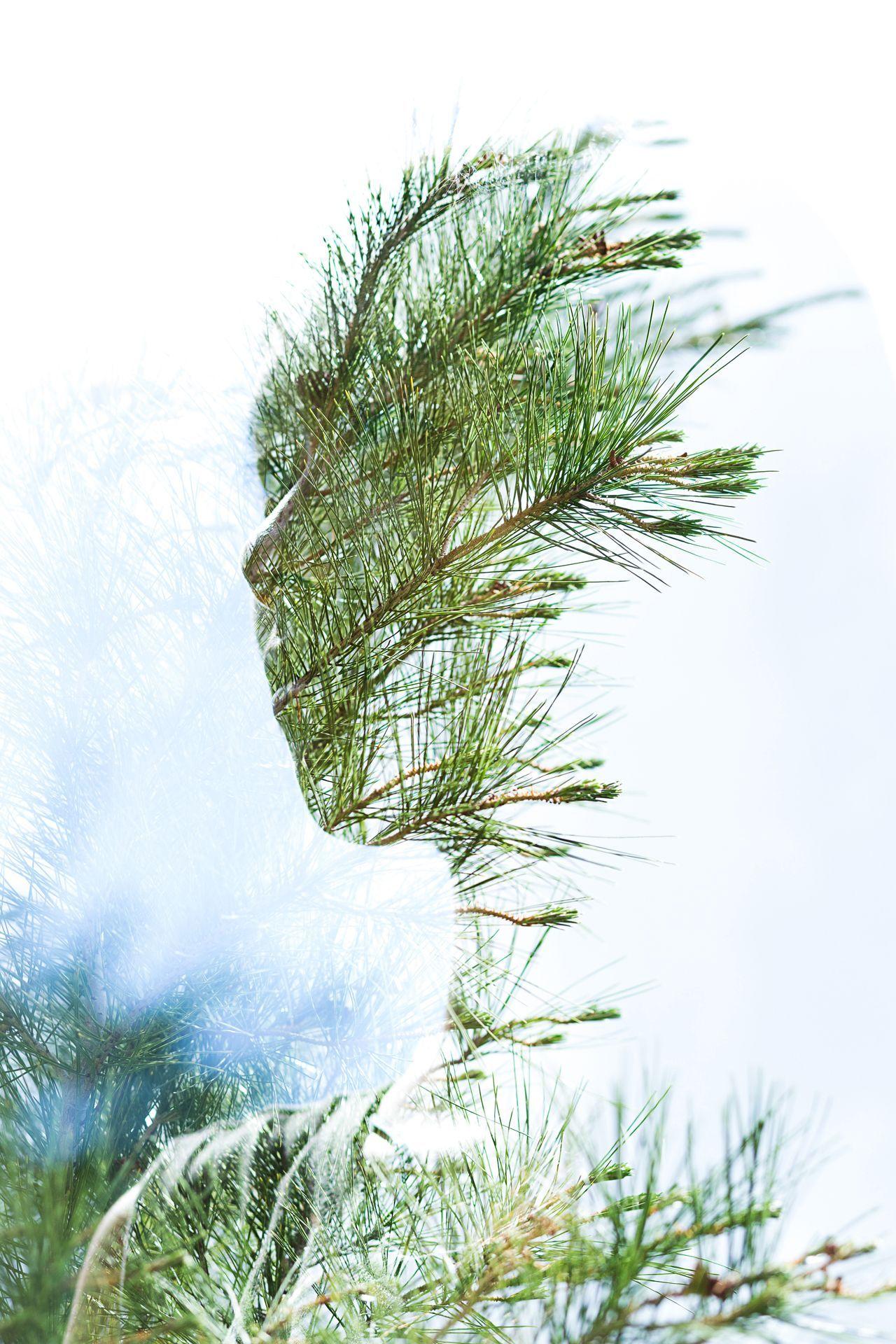 Double Exposure Wallpapers - Top Free Double Exposure Backgrounds ...