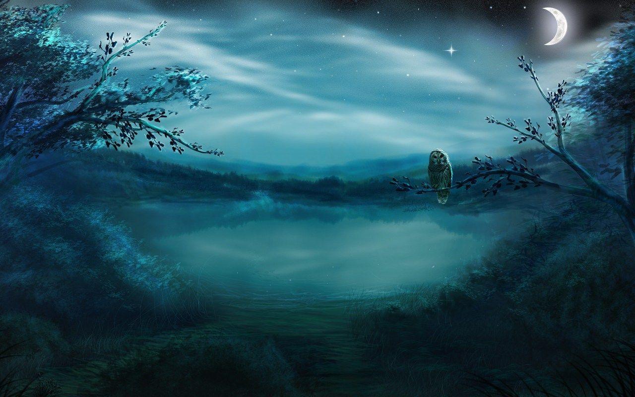 Night Forest Wallpapers - Top Free Night Forest Backgrounds ...