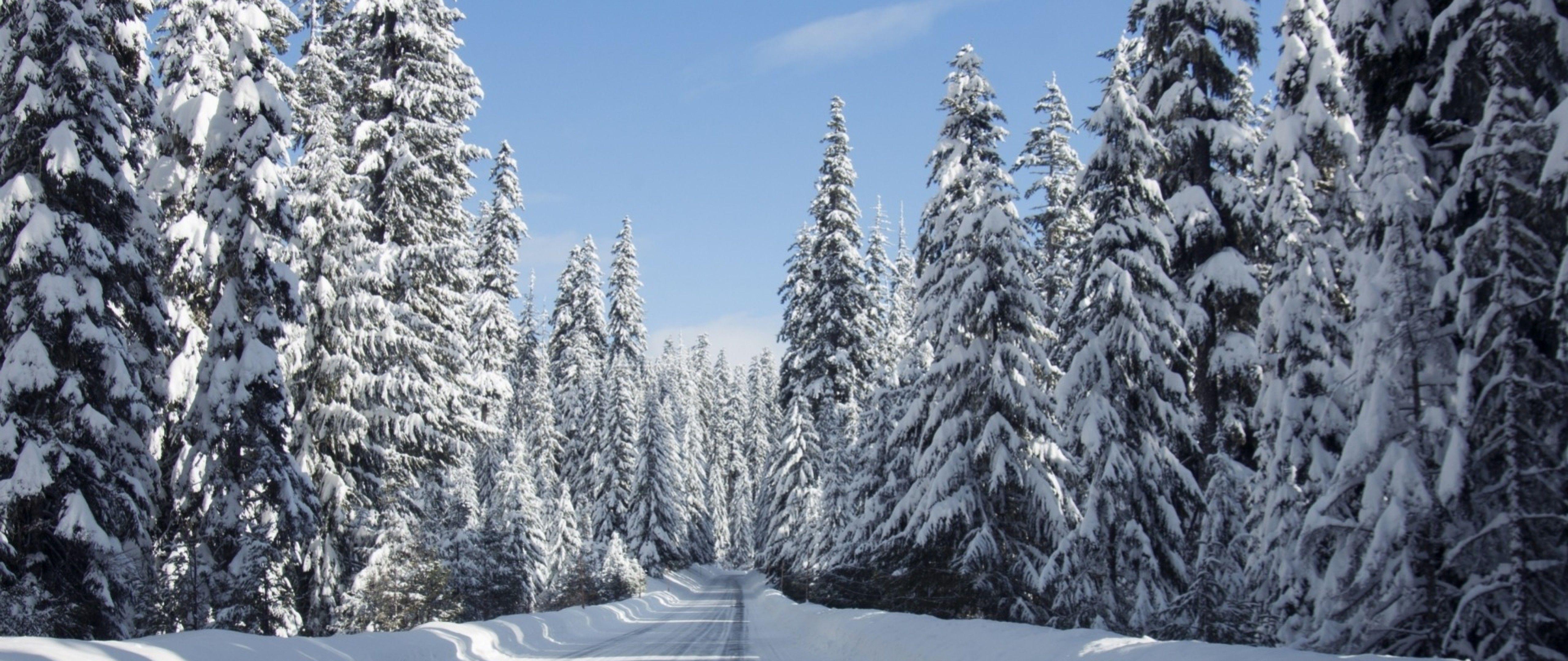 4K Oregon Wallpapers - Top Free 4K Oregon Backgrounds - WallpaperAccess