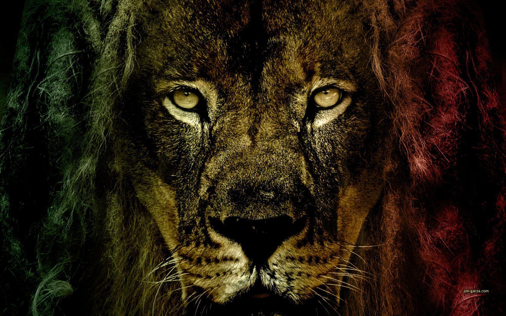 Tribal Lion Wallpapers - Top Free Tribal Lion Backgrounds - WallpaperAccess