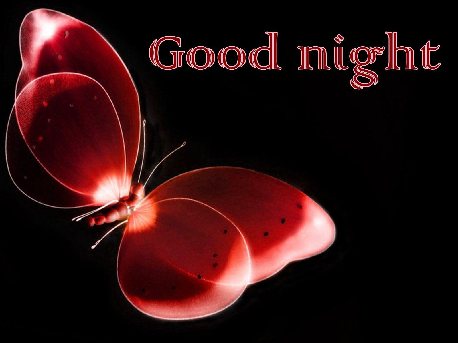 Night Butterfly Wallpapers - Top Free Night Butterfly Backgrounds ...