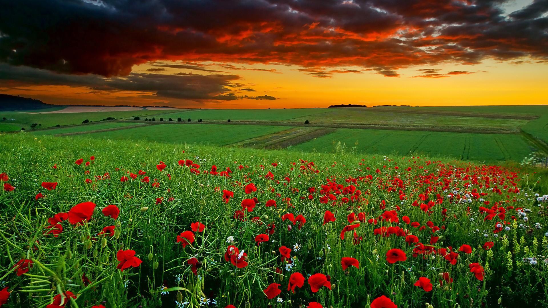 Nature High Resolution Wallpapers - Top Free Nature High Resolution ...