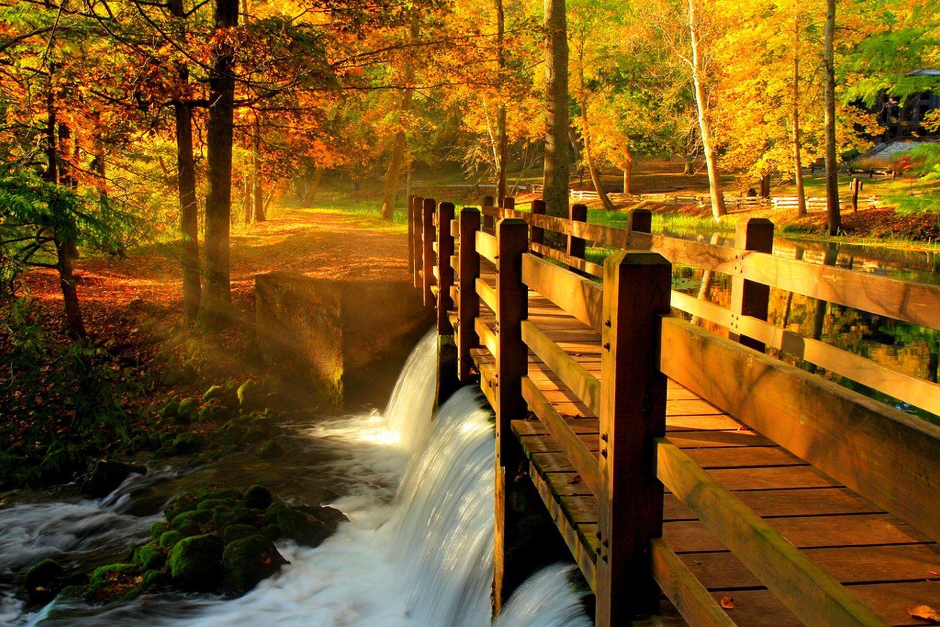 Autumn Water Wallpapers - Top Free Autumn Water Backgrounds ...