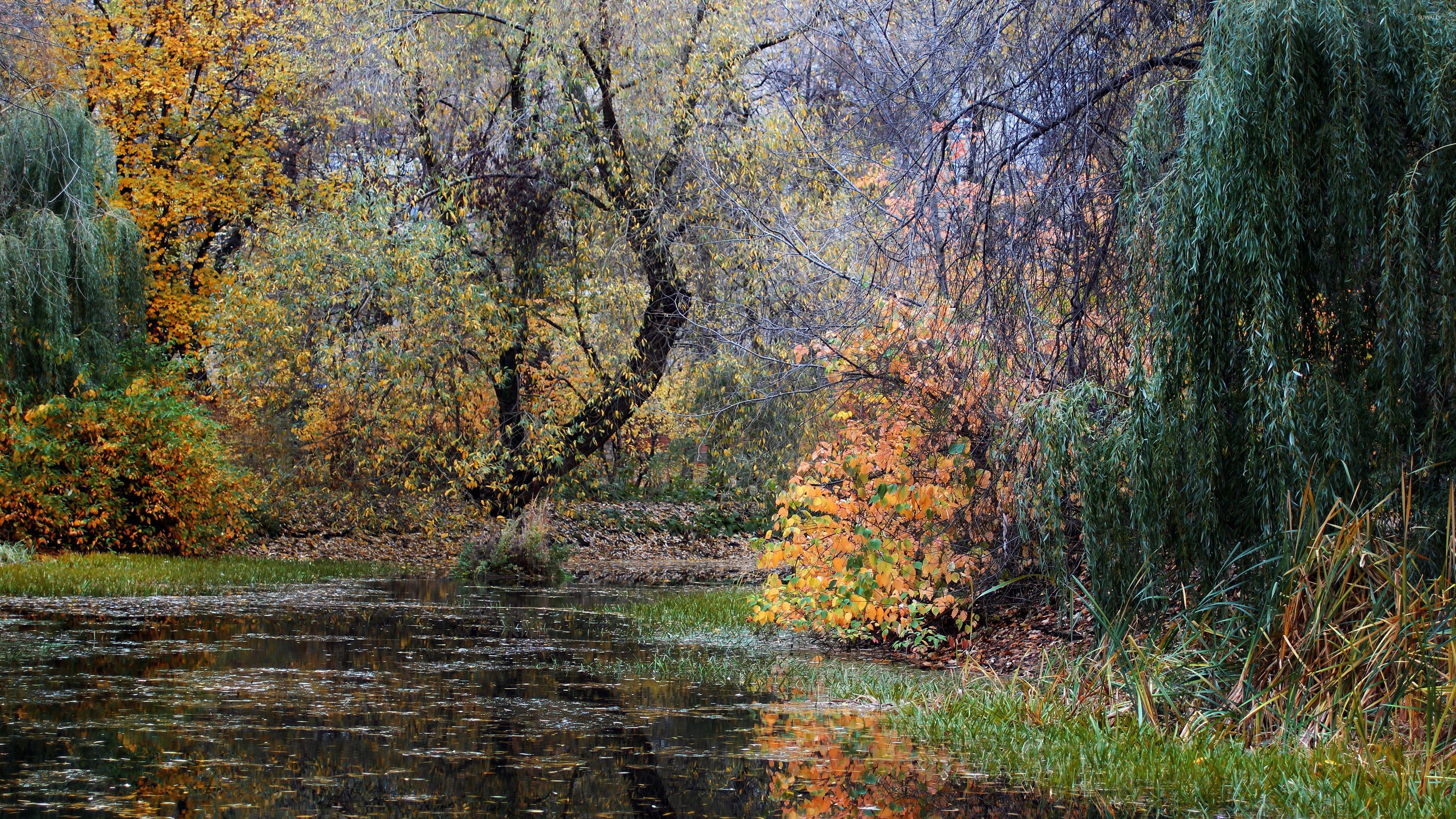 Autumn Water Wallpapers - Top Free Autumn Water Backgrounds ...