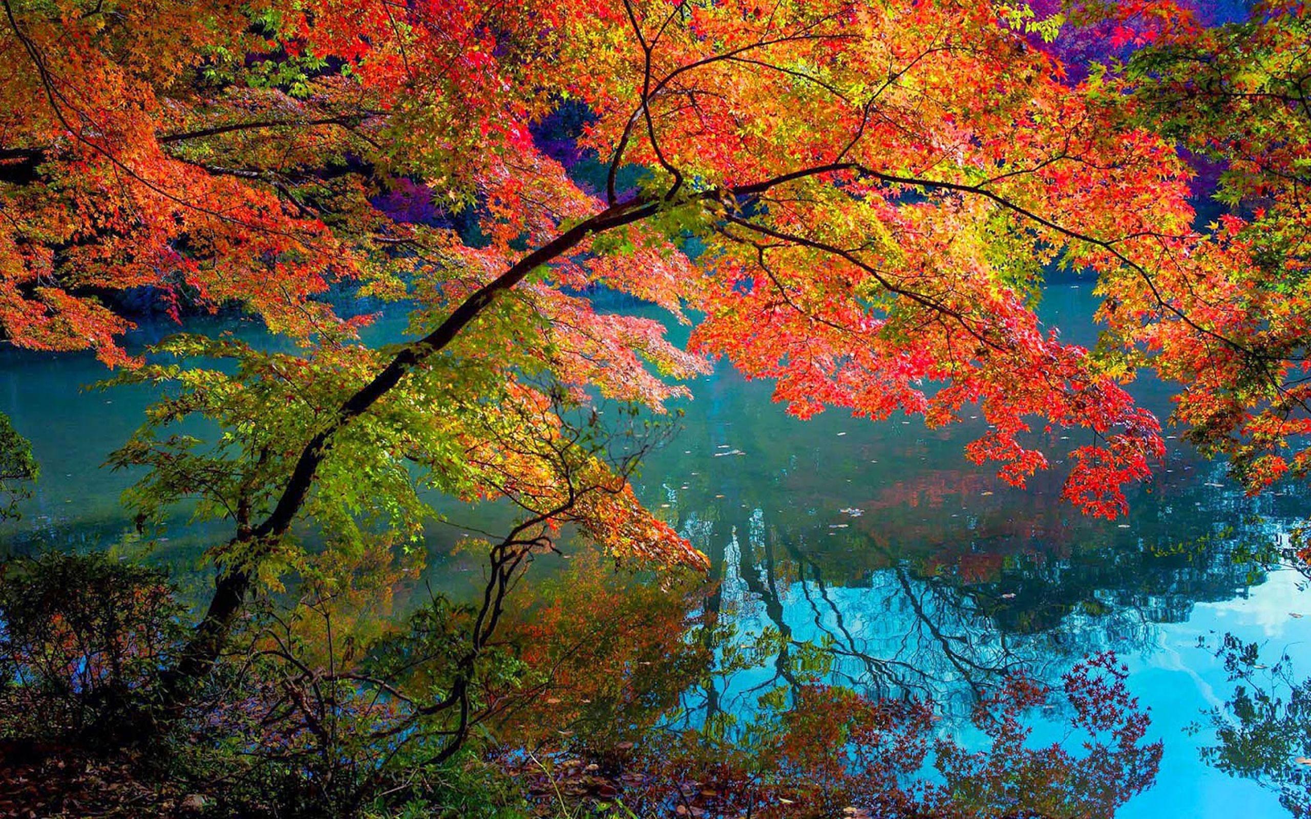 Autumn Water Wallpapers - Top Free Autumn Water Backgrounds ...