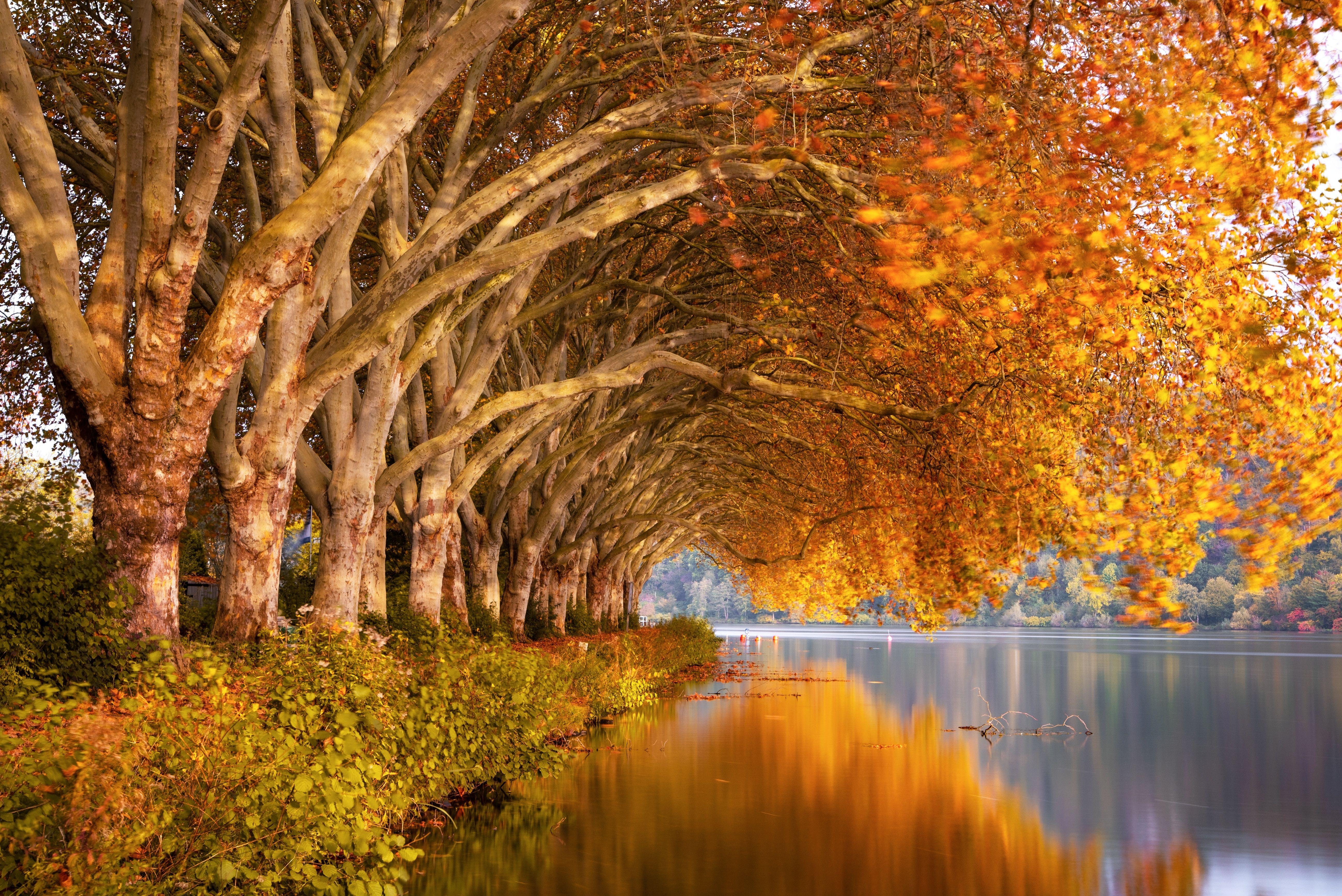 Autumn Water Wallpapers - Top Free Autumn Water Backgrounds ...