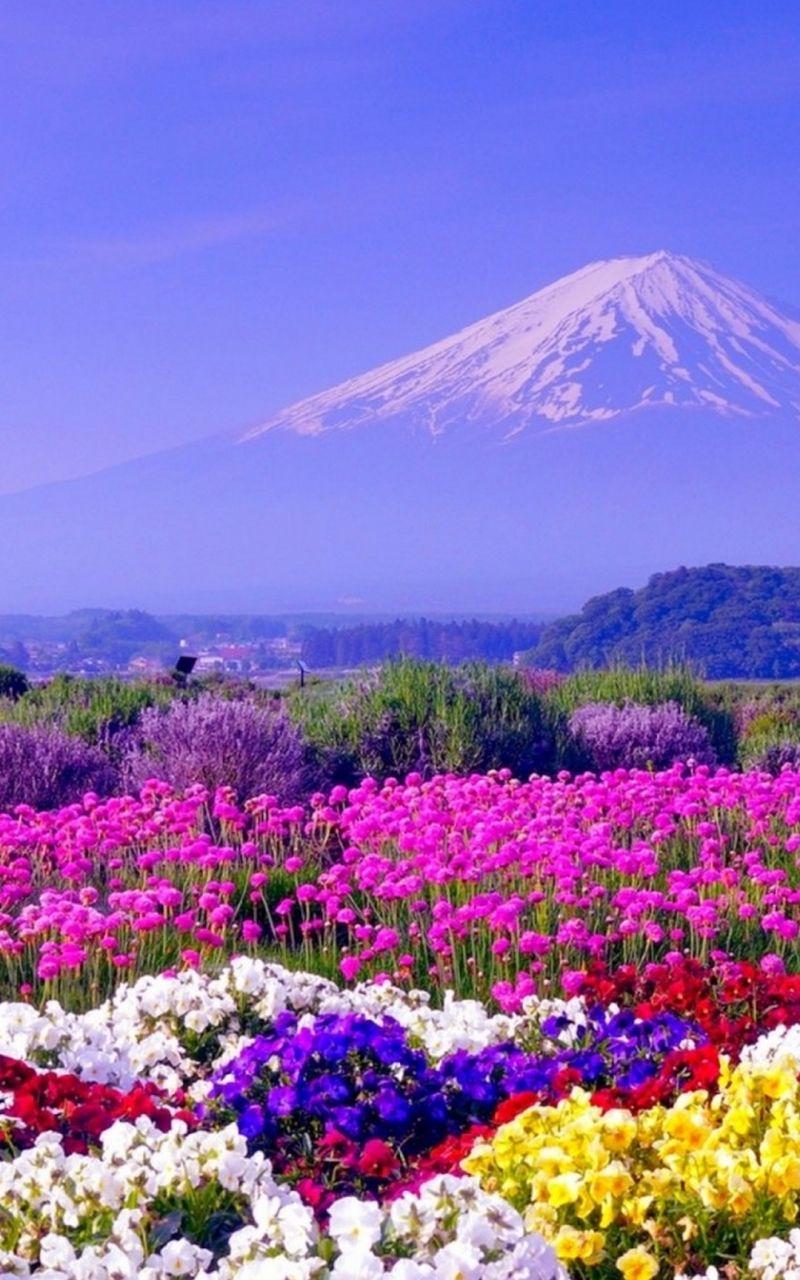 3D Spring Wallpapers - Top Free 3D Spring Backgrounds - WallpaperAccess