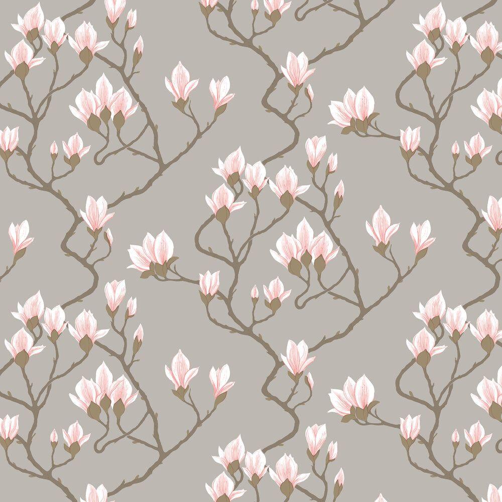 Sweet Magnolias Wallpapers - Top Free Sweet Magnolias Backgrounds ...