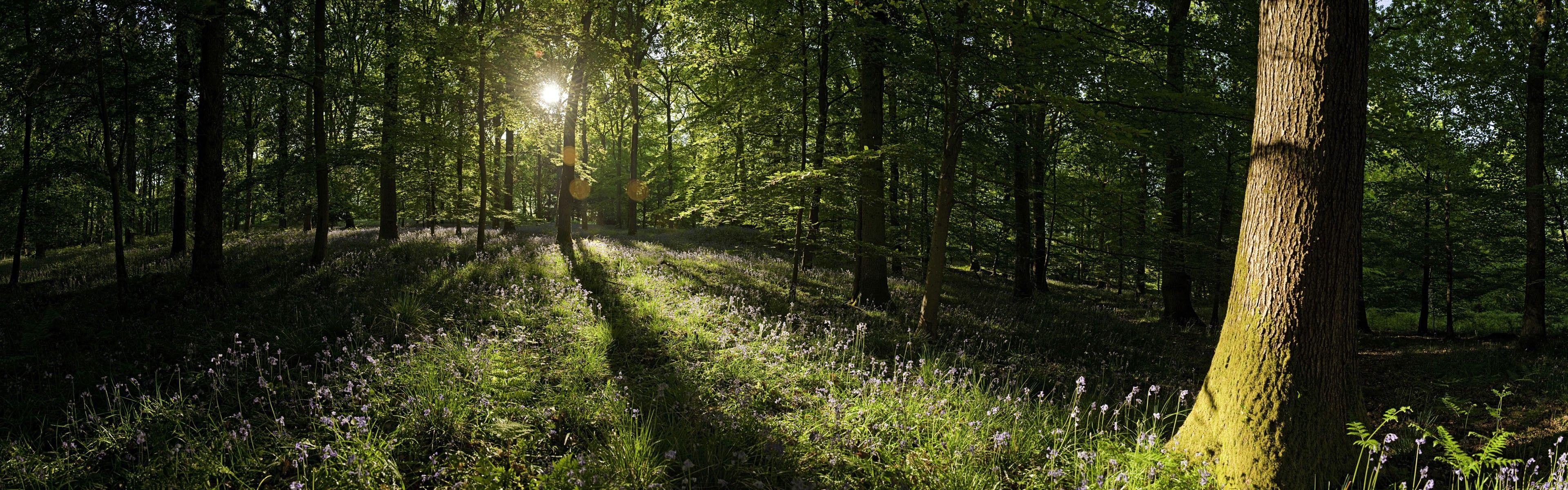 3840X1200 High Resolution Panoramic Wallpapers - Top Free 3840X1200 ...