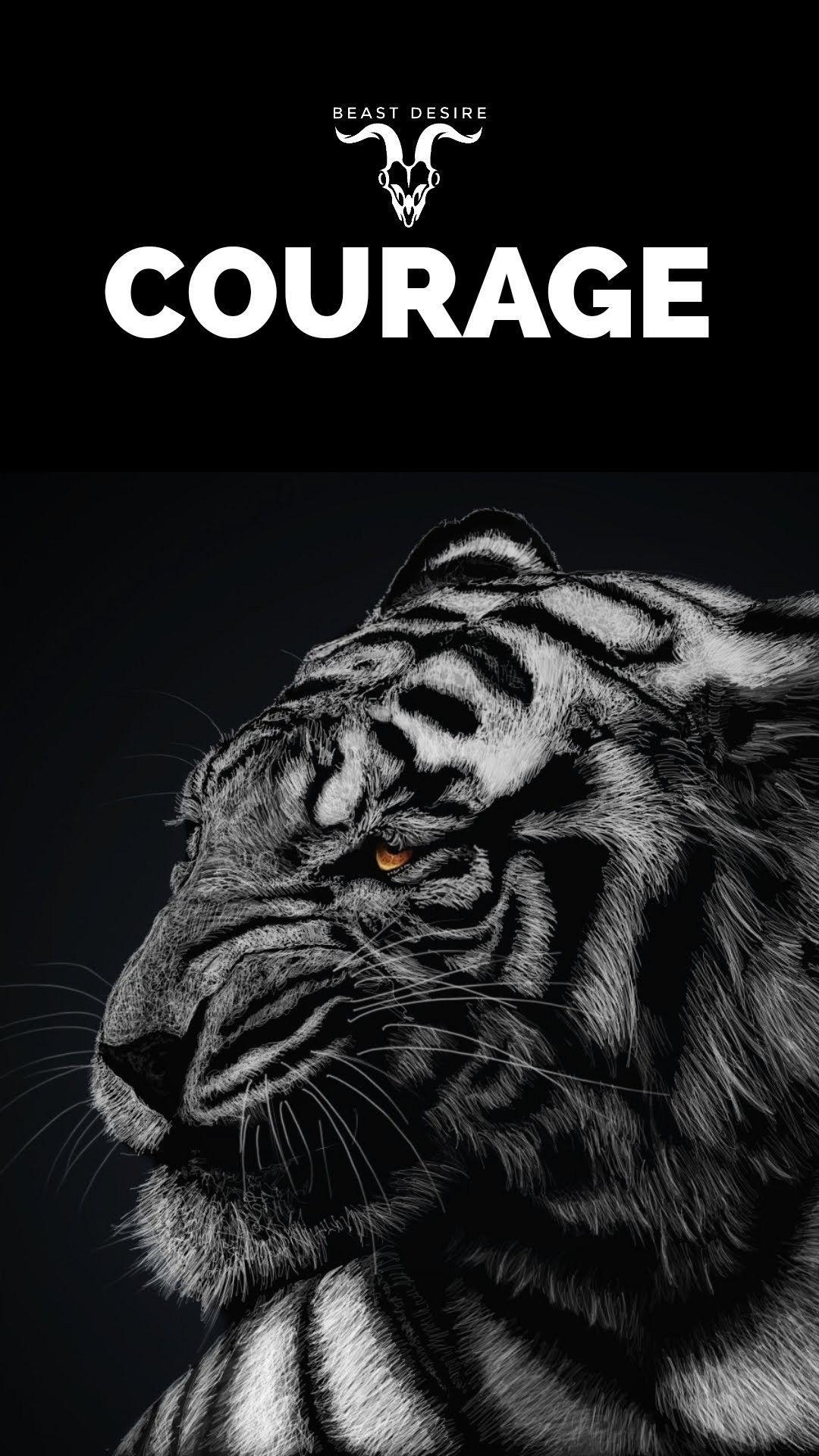 Tiger Motivational Wallpapers - Top Free Tiger Motivational Backgrounds ...