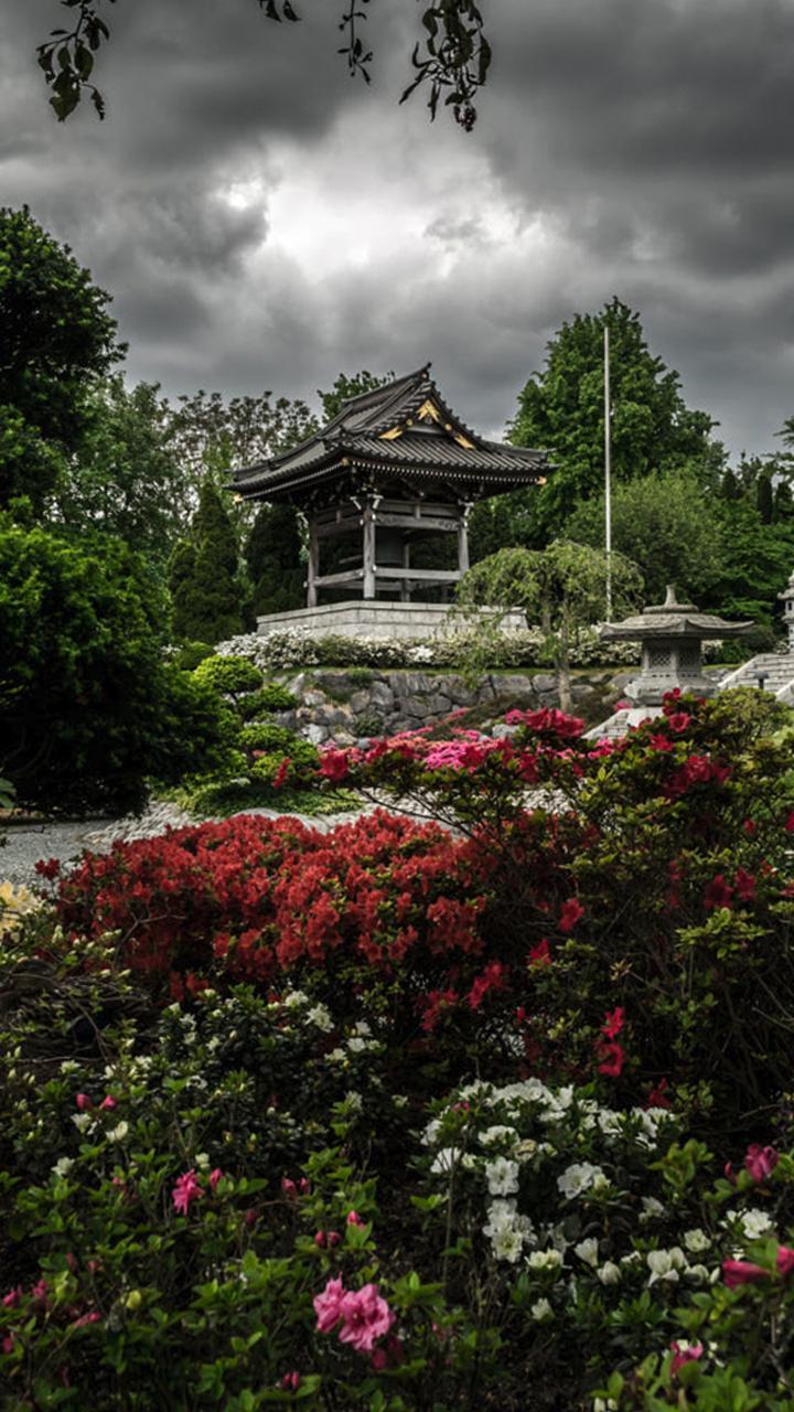 Zen Flower Garden Wallpapers - Top Free Zen Flower Garden Backgrounds ...