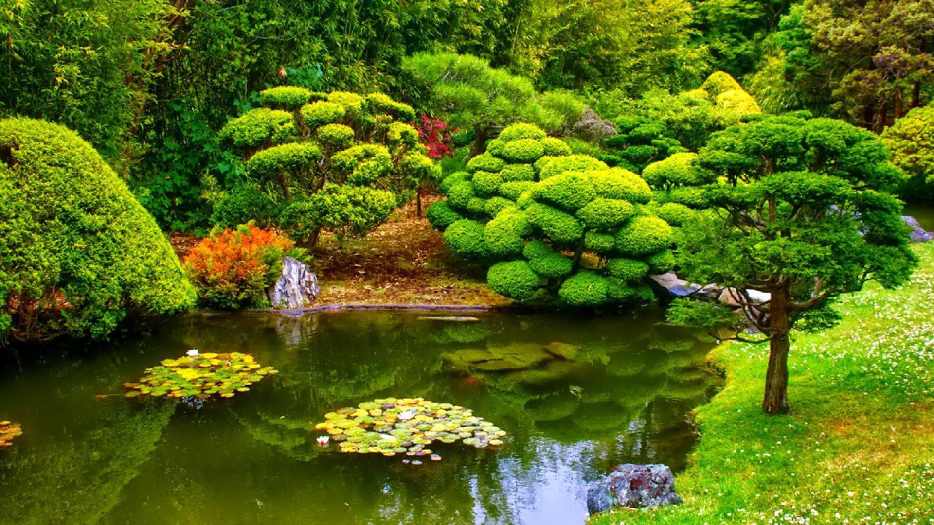 Zen Flower Garden Wallpapers - Top Free Zen Flower Garden Backgrounds ...