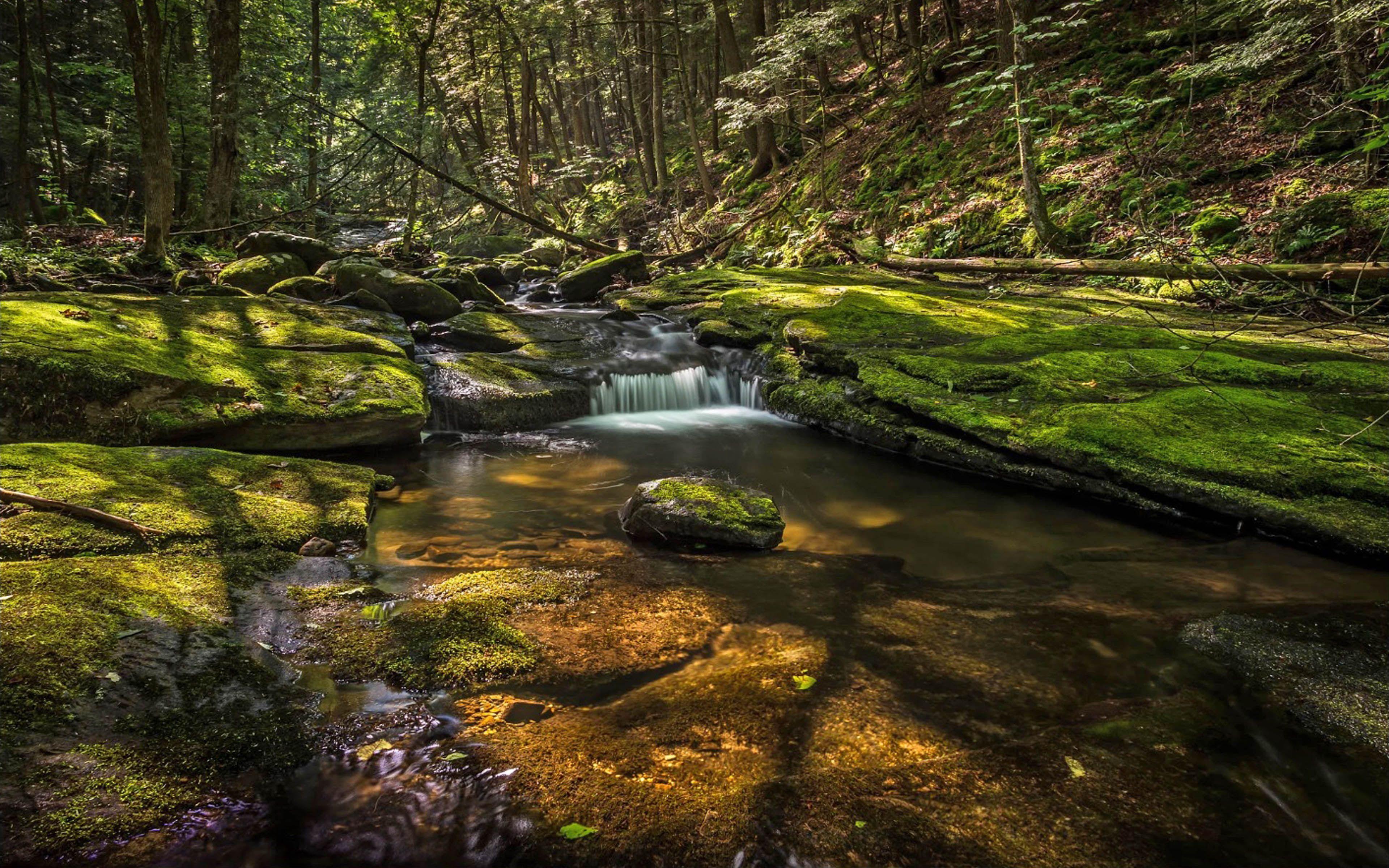 Magical Place Wallpapers - Top Free Magical Place Backgrounds ...