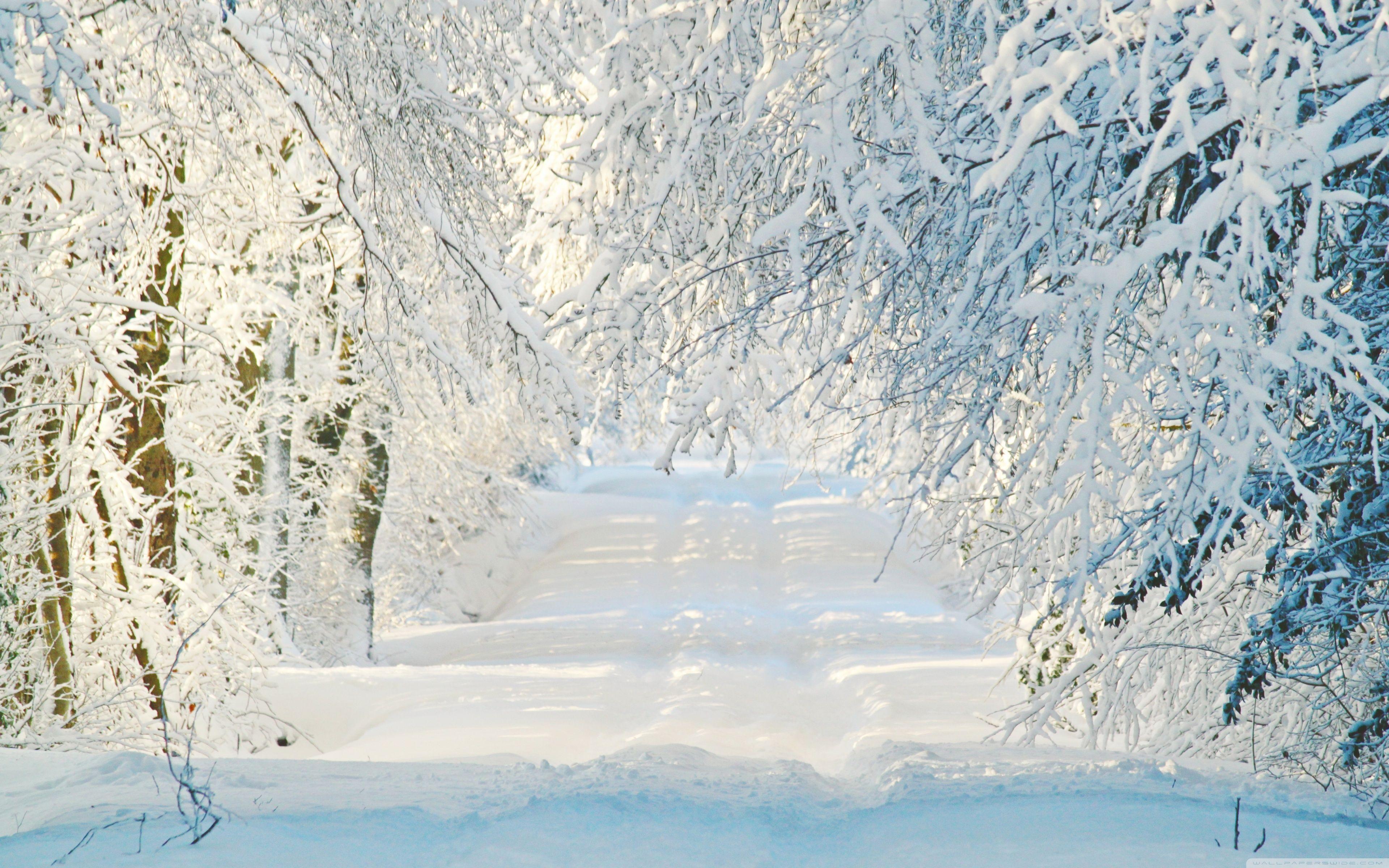 Snowy Road Wallpapers - Top Free Snowy Road Backgrounds - WallpaperAccess