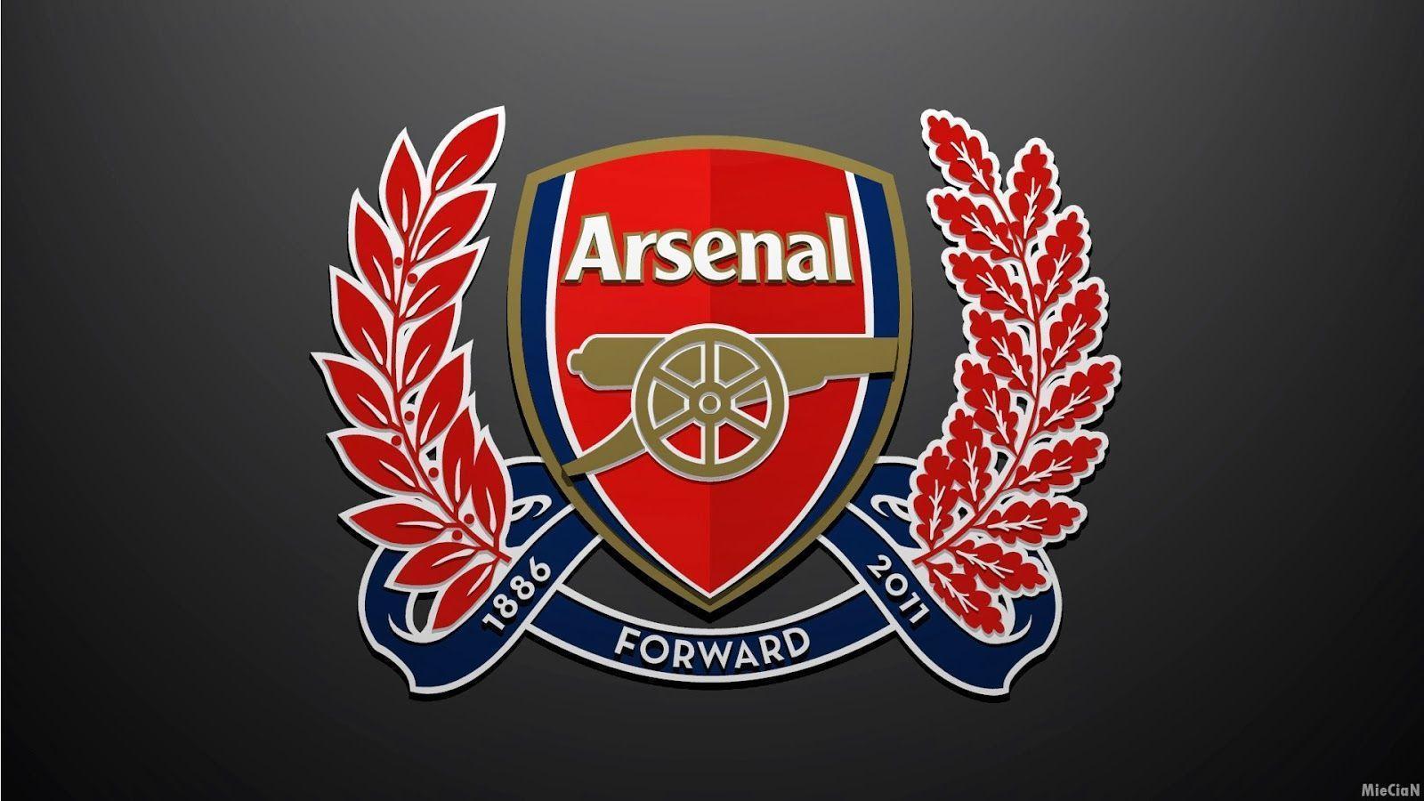Arsenal FC Logo Wallpapers - Top Free Arsenal FC Logo Backgrounds ...