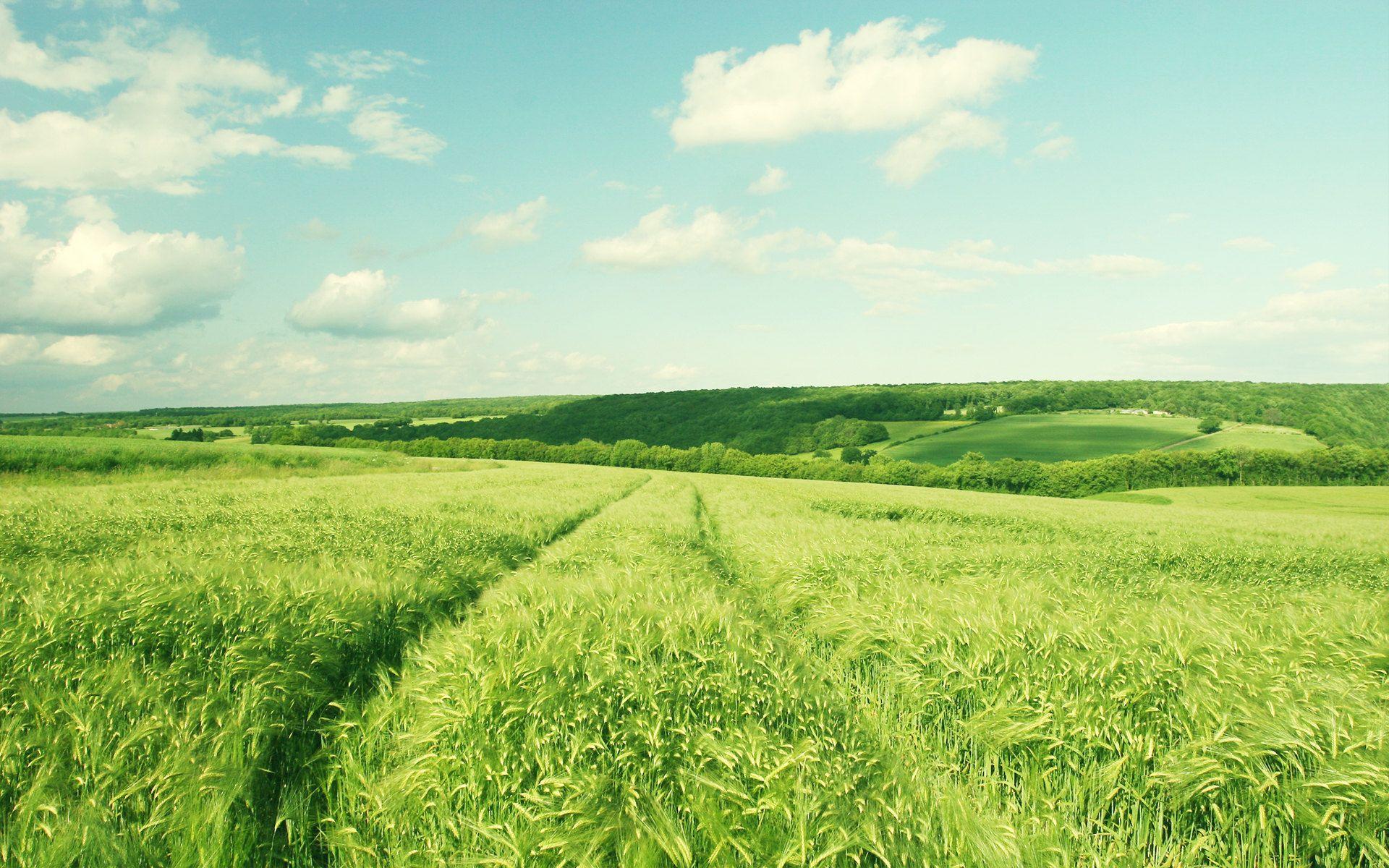 Summer Fields Wallpapers - Top Free Summer Fields Backgrounds ...