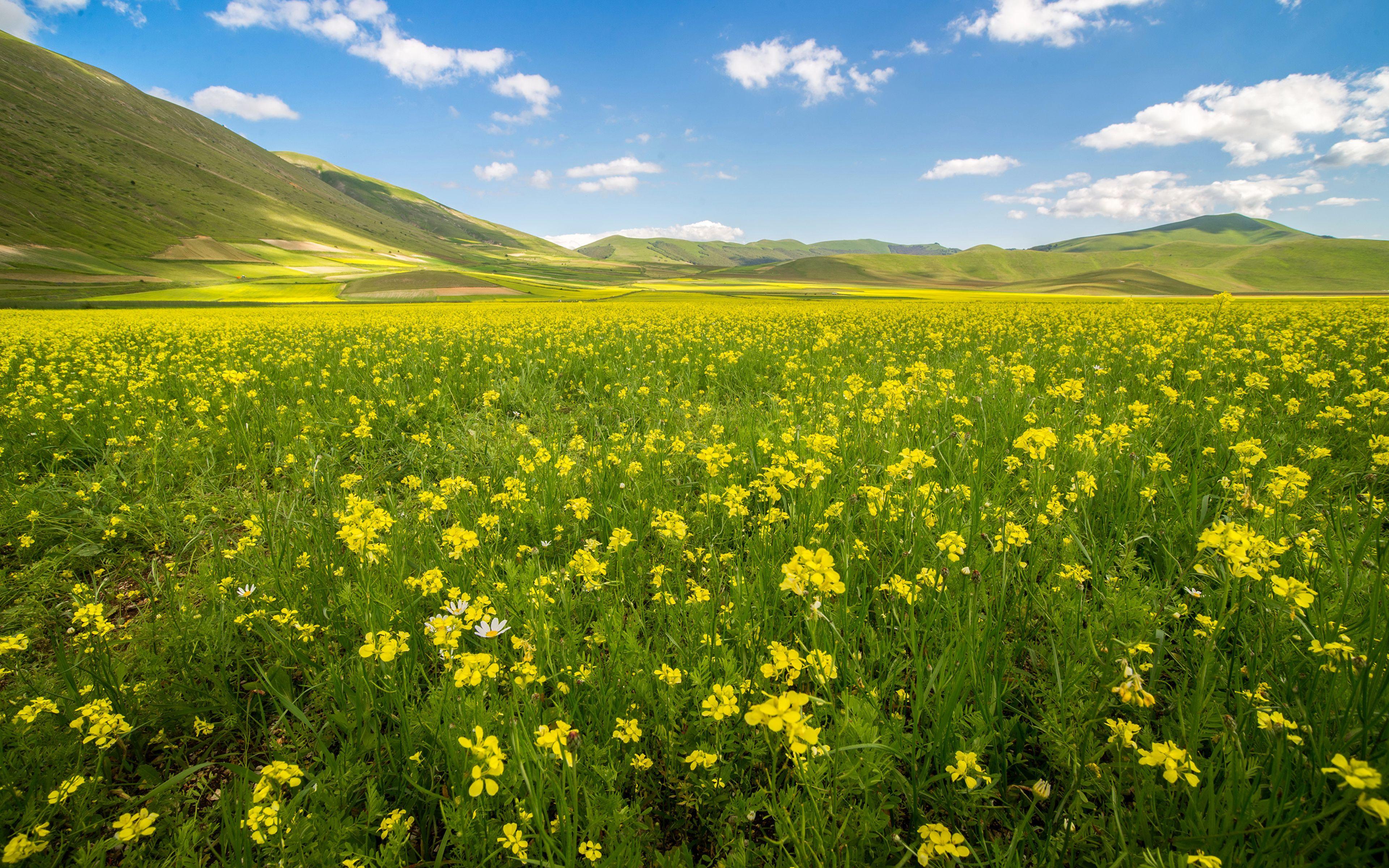 Summer Fields Wallpapers - Top Free Summer Fields Backgrounds ...