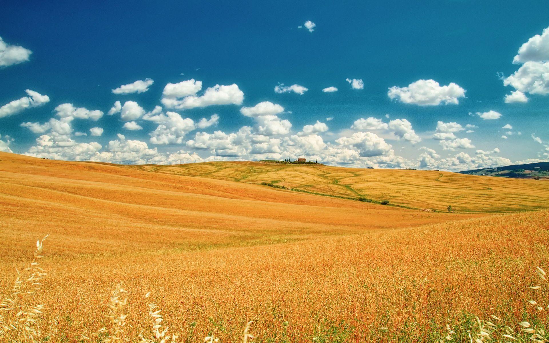 Summer Fields Wallpapers - Top Free Summer Fields Backgrounds ...