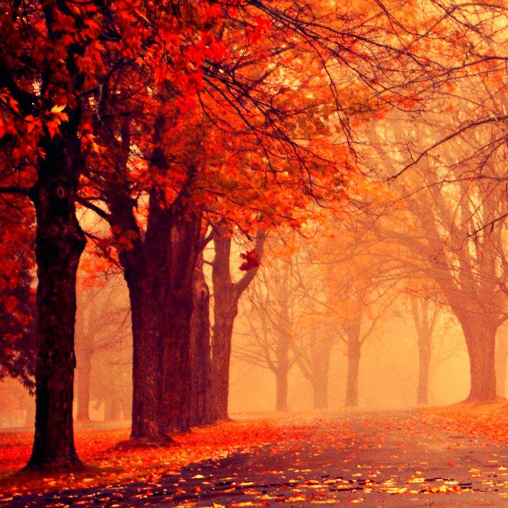 Autumn iPad Wallpapers - Top Free Autumn iPad Backgrounds - WallpaperAccess