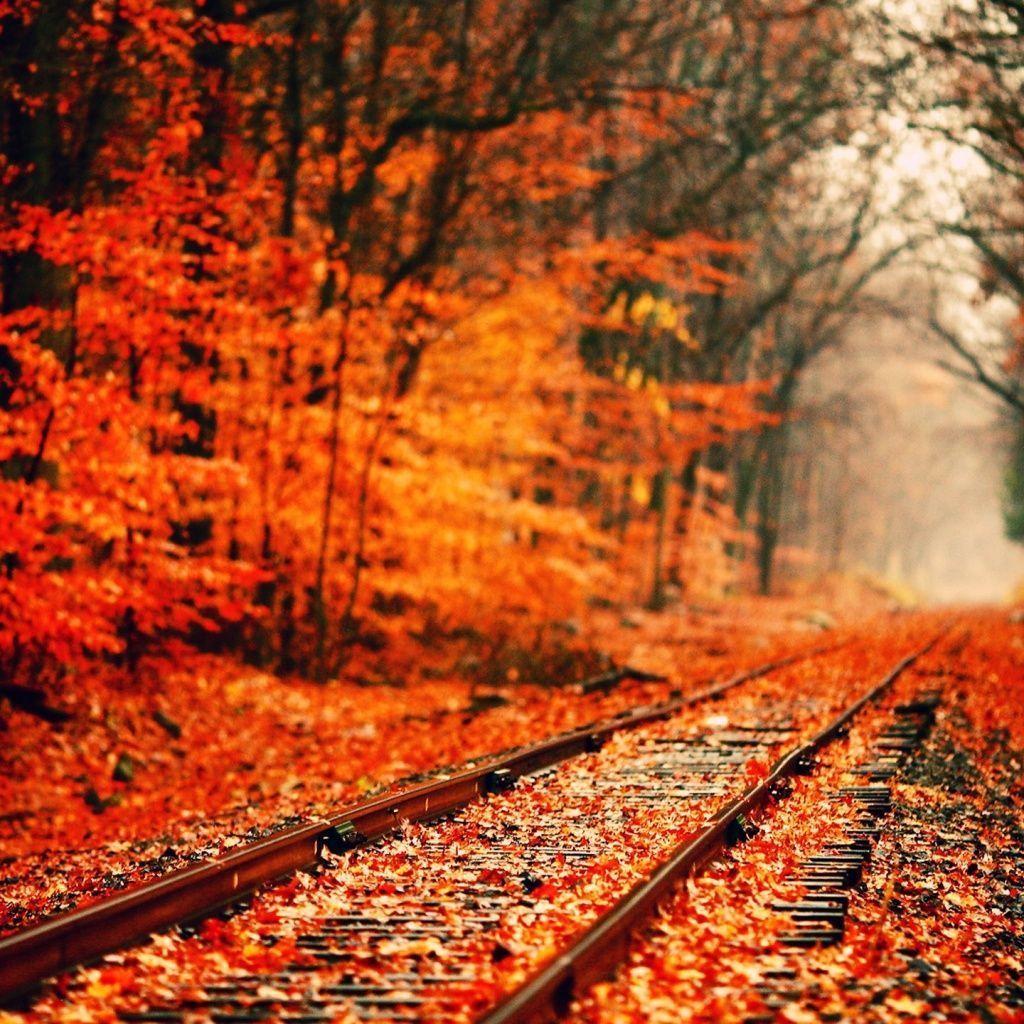 Autumn iPad Wallpapers - Top Free Autumn iPad Backgrounds - WallpaperAccess