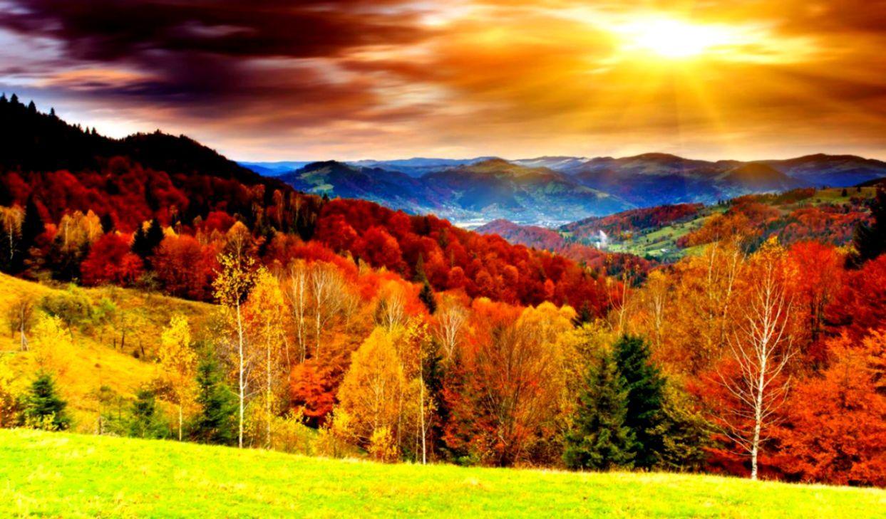 HD Awesome Autumn Wallpapers - Top Free HD Awesome Autumn Backgrounds ...