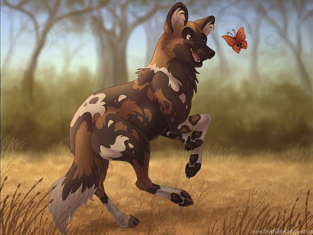 Wild Dog Wallpapers - Top Free Wild Dog Backgrounds - WallpaperAccess